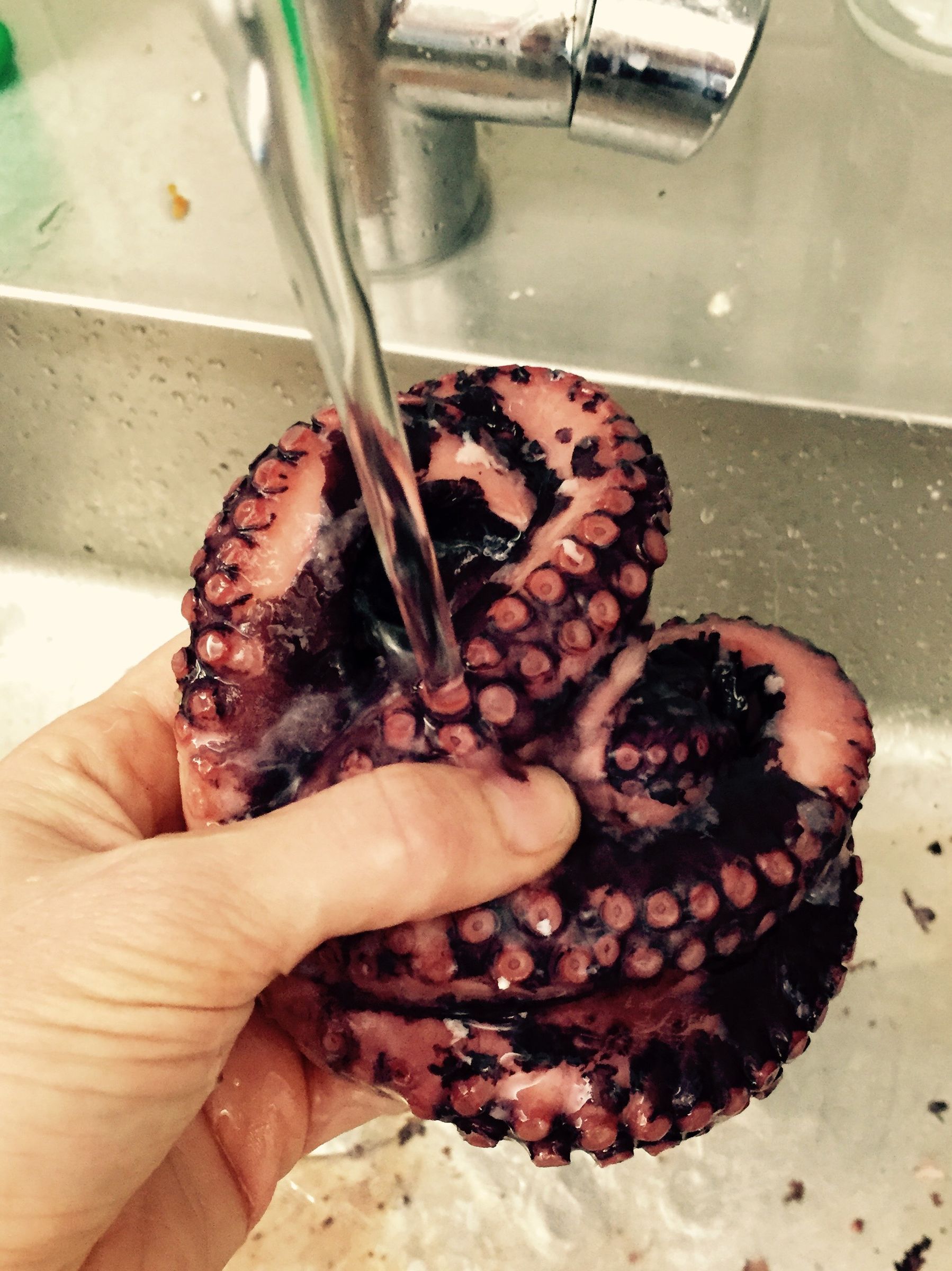 Cthulhu Berry Pie, Aka OctoPie or Octopus Pie : 11 Steps (with Pictures ...