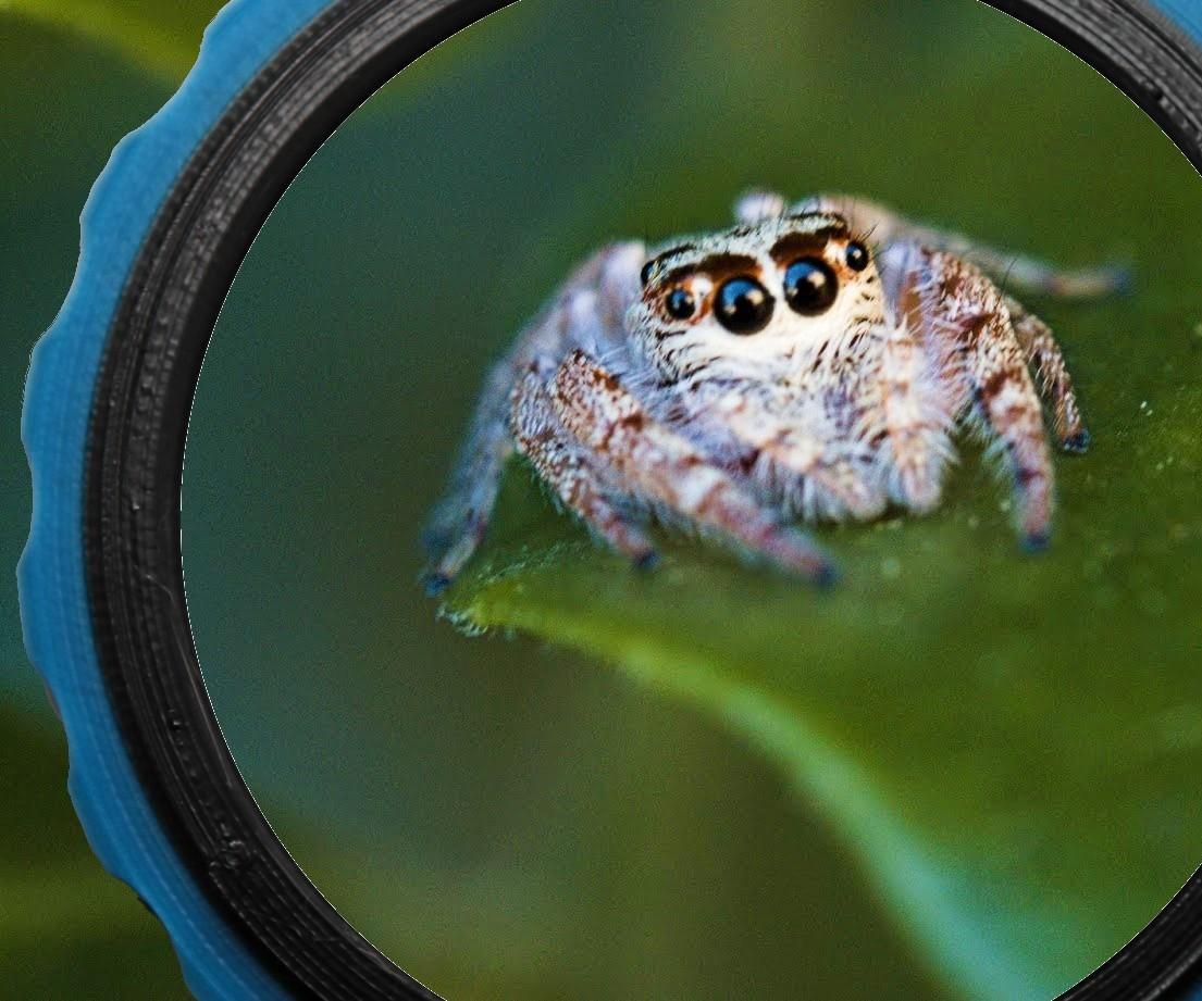 3D Print Your Macro Photography (part #2) the Reverse Lens Adaptor : 23 ...