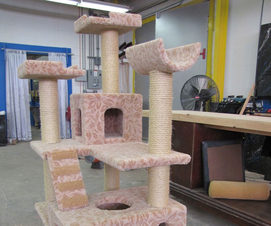 CAT CONDO : 3 Steps - Instructables