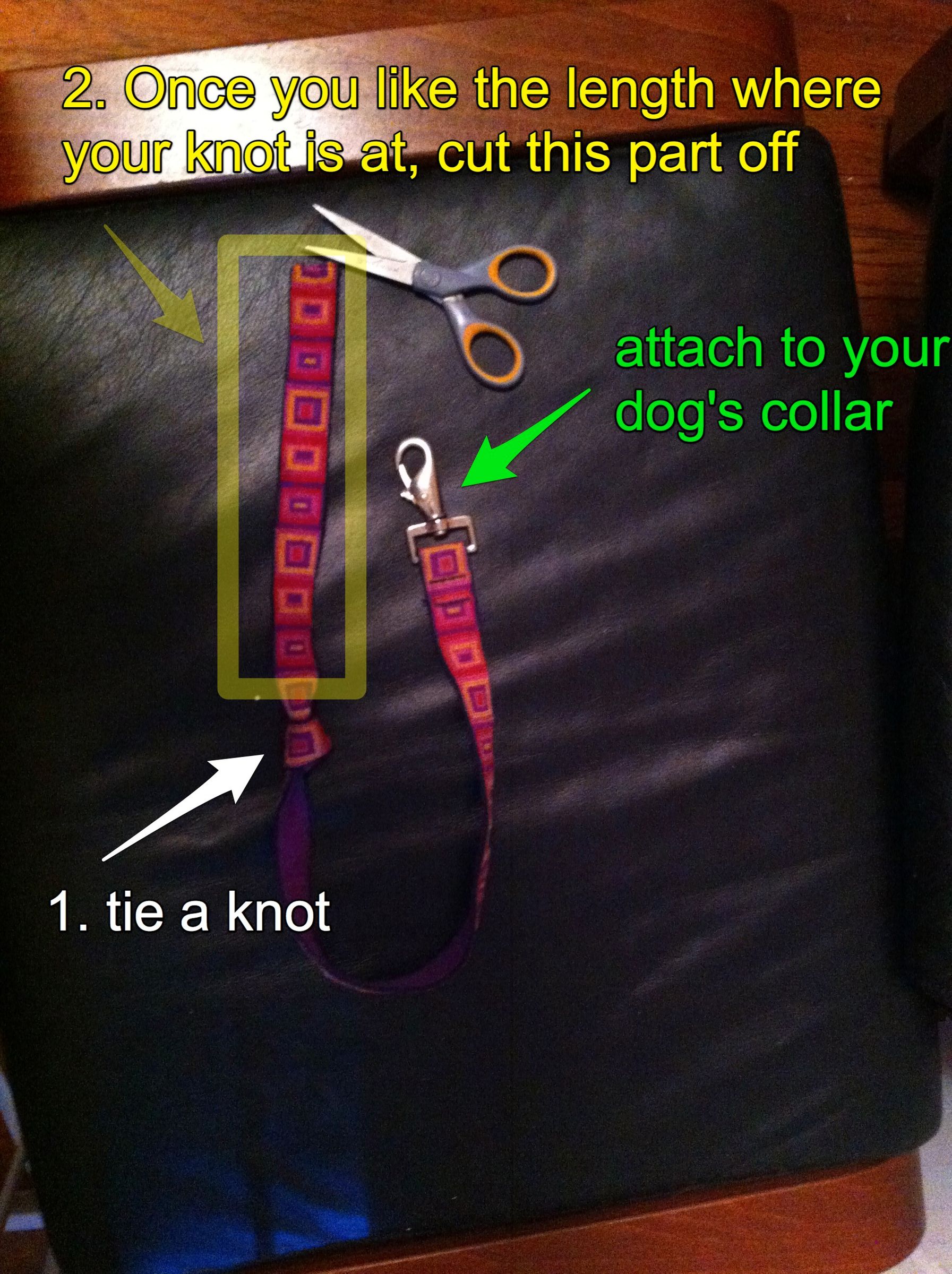 Canine Ball Leash (no More Lost Balls in the Park!) : 4 Steps (with ...
