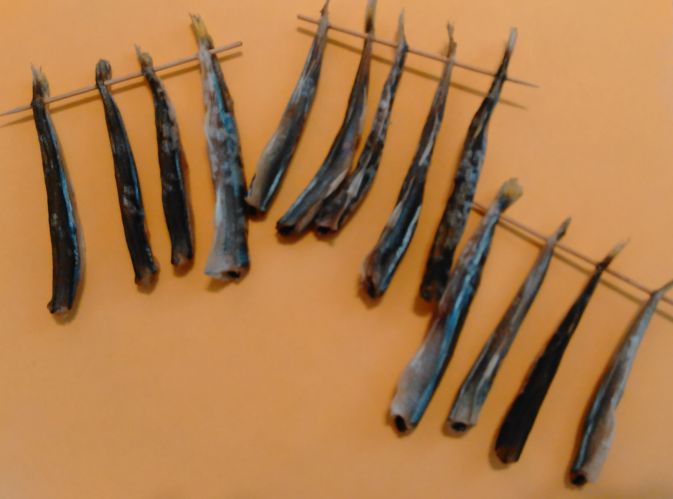 Taranka (Salted and Dried Fish) : 3 Steps (with Pictures) - Instructables