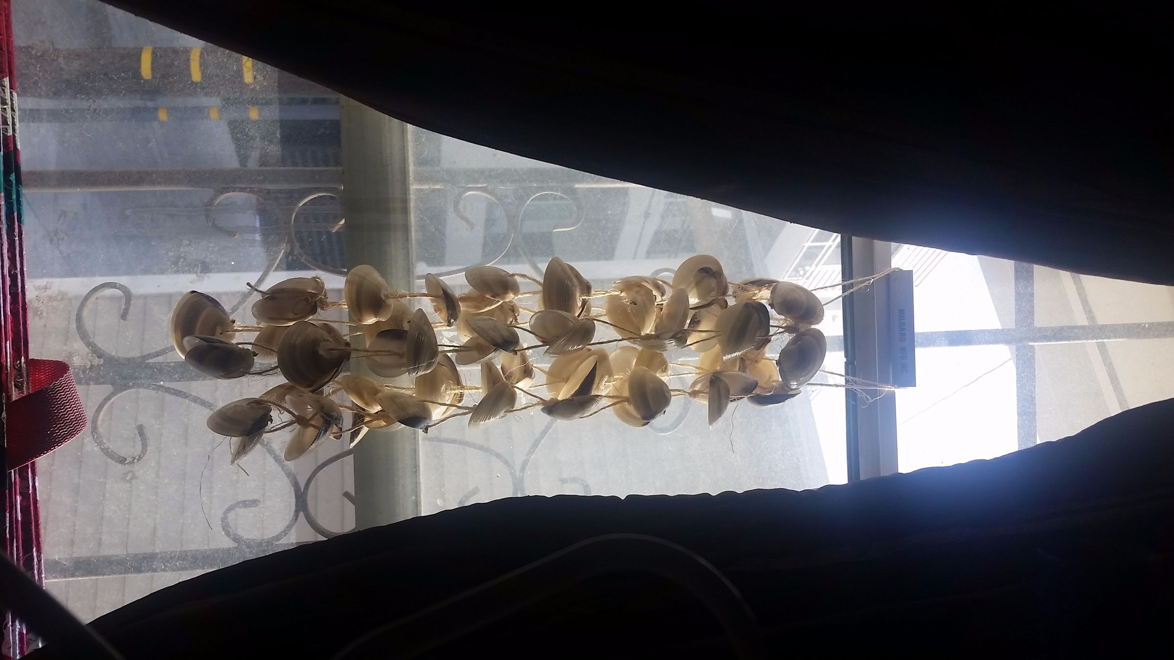 DIY Clam Shell Wind Chime : 4 Steps (with Pictures) - Instructables