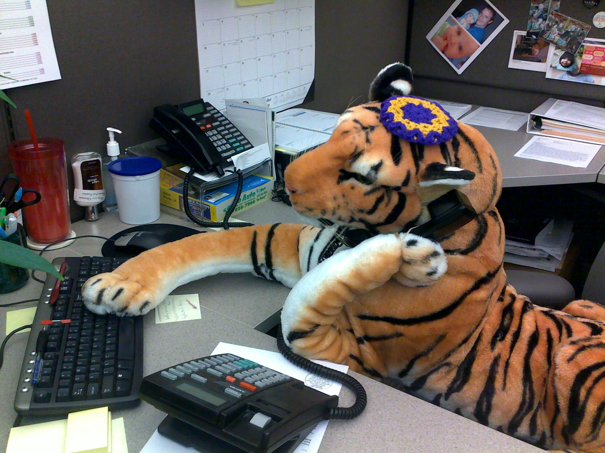Cubicle Tiger at Work - Instructables