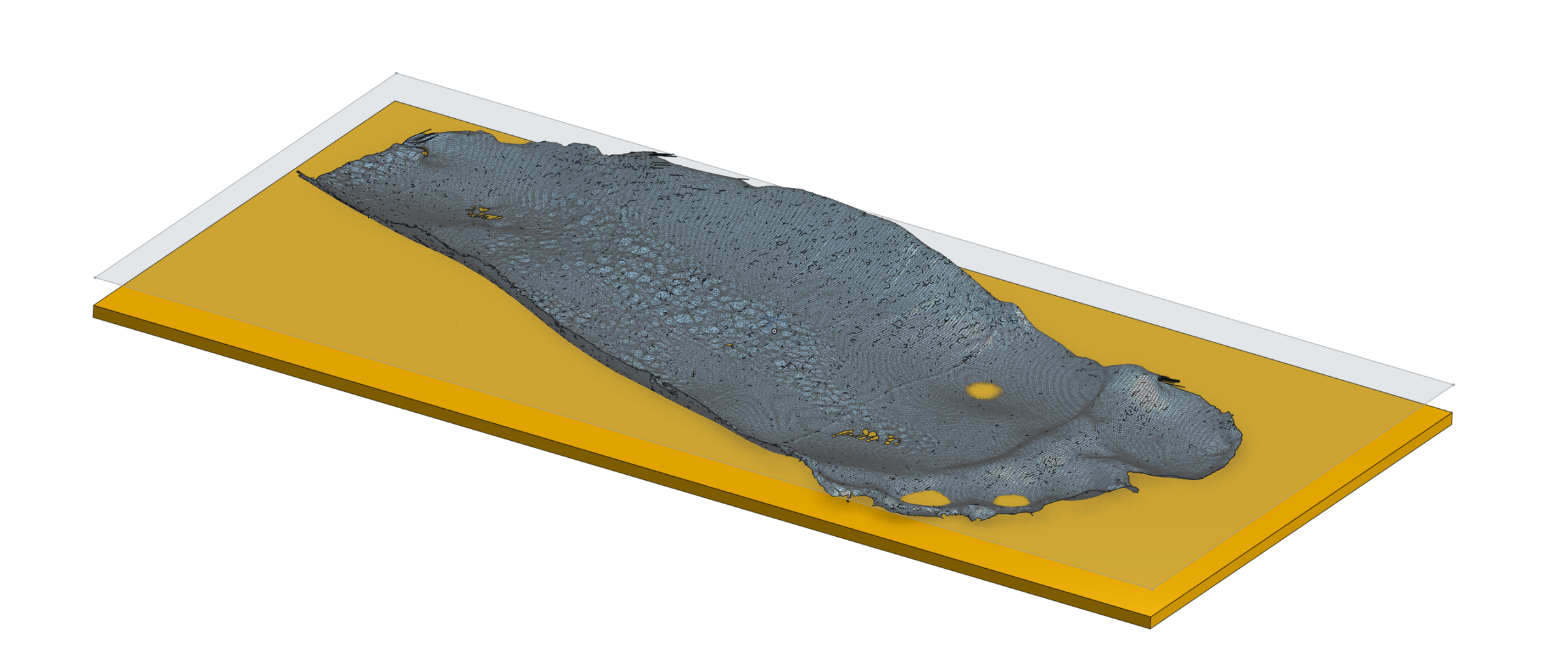 How to Make a Custom Shoe Insole With 3D Printing : 4 Steps - Instructables