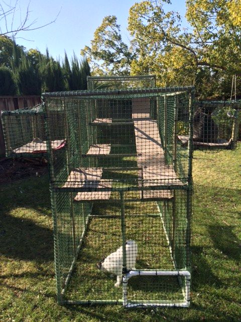 Cat Enclosure : 6 Steps (with Pictures) - Instructables