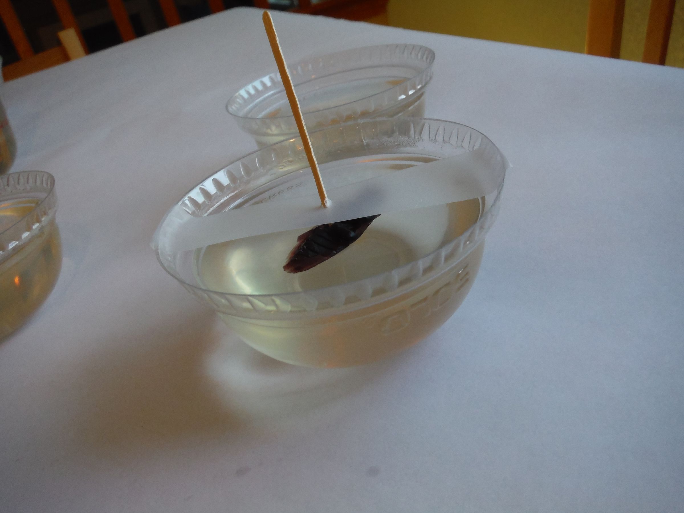 How to Make (edible) Creepy Things Encapsulated in Gelatin : 10 Steps ...
