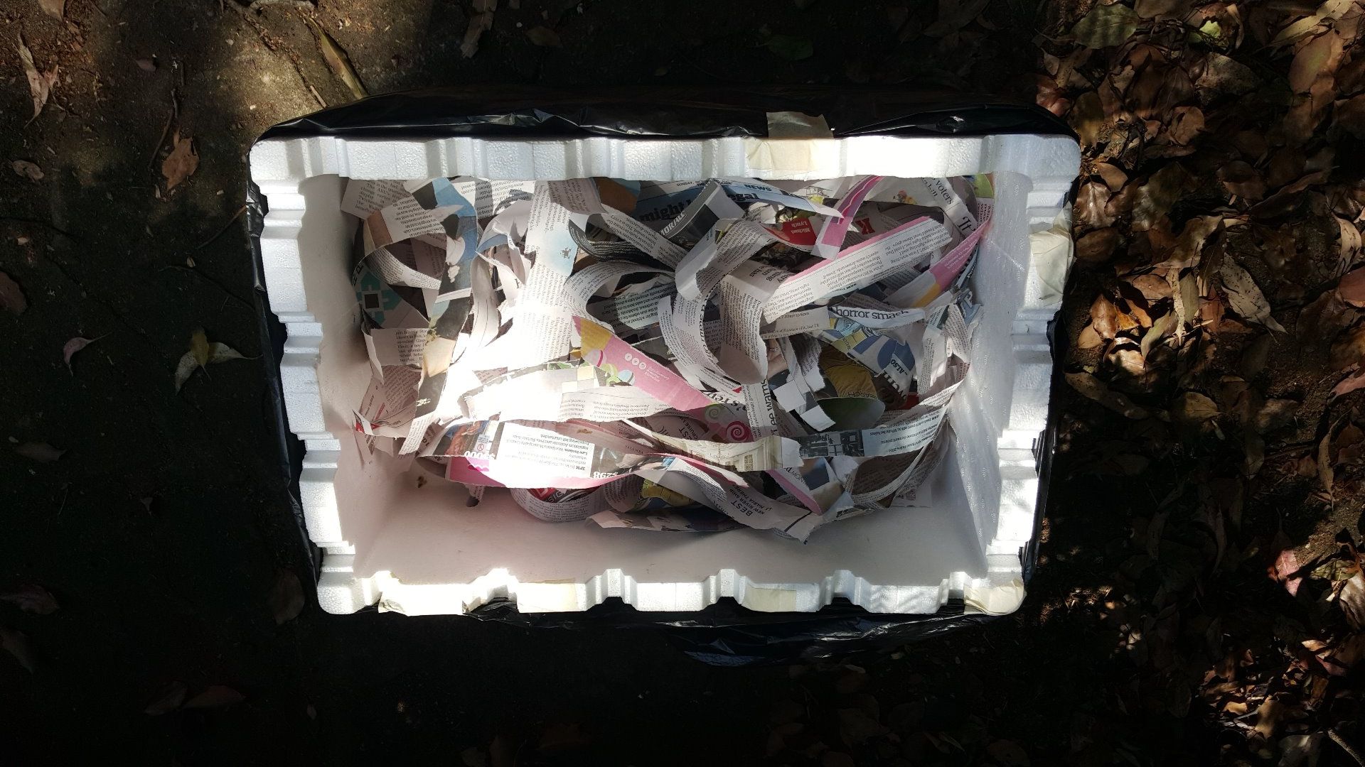 How to Compost With Worms : 6 Steps (with Pictures) - Instructables