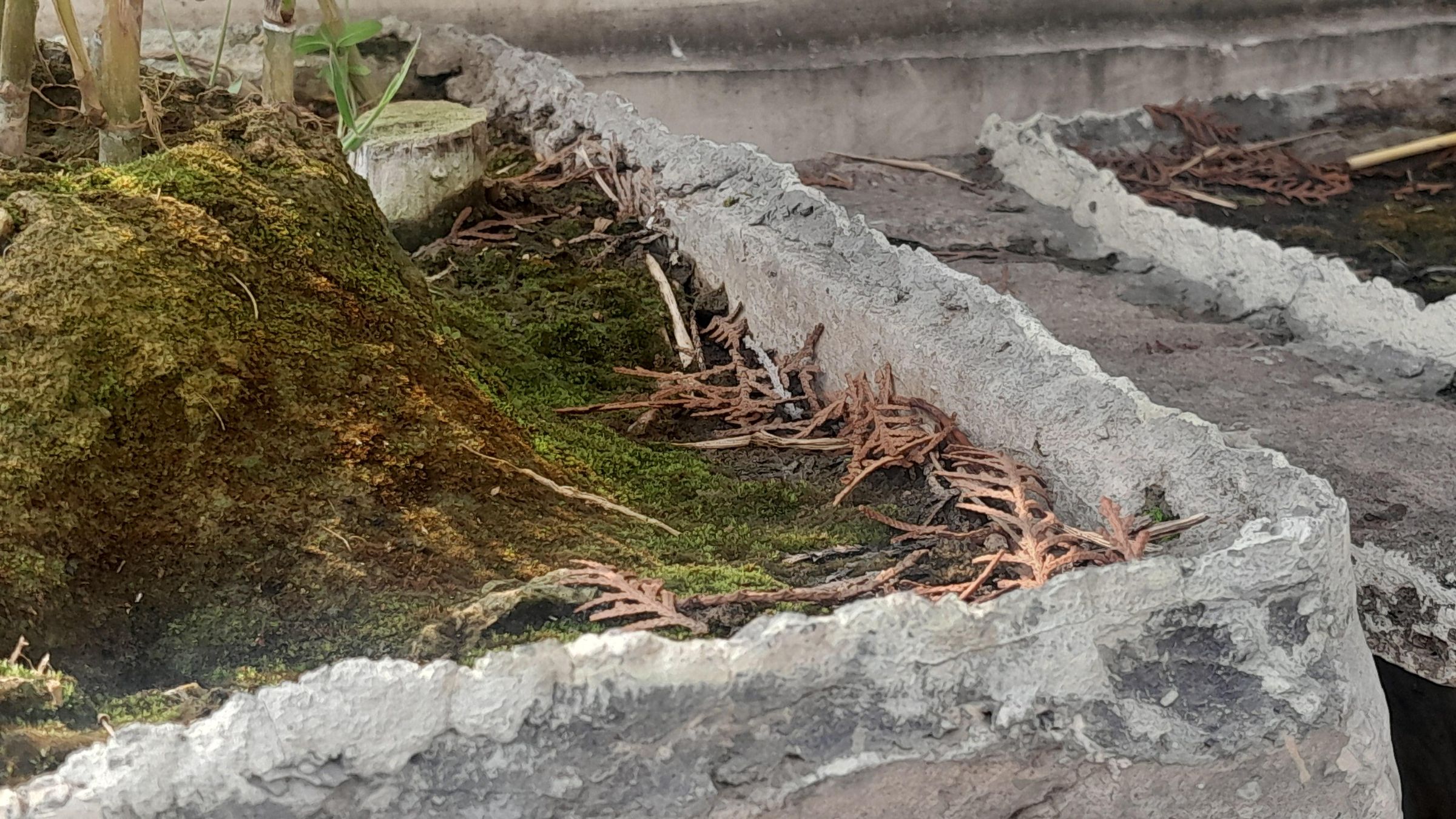 Rejuvenating Cracked Flower Pots : 5 Steps - Instructables