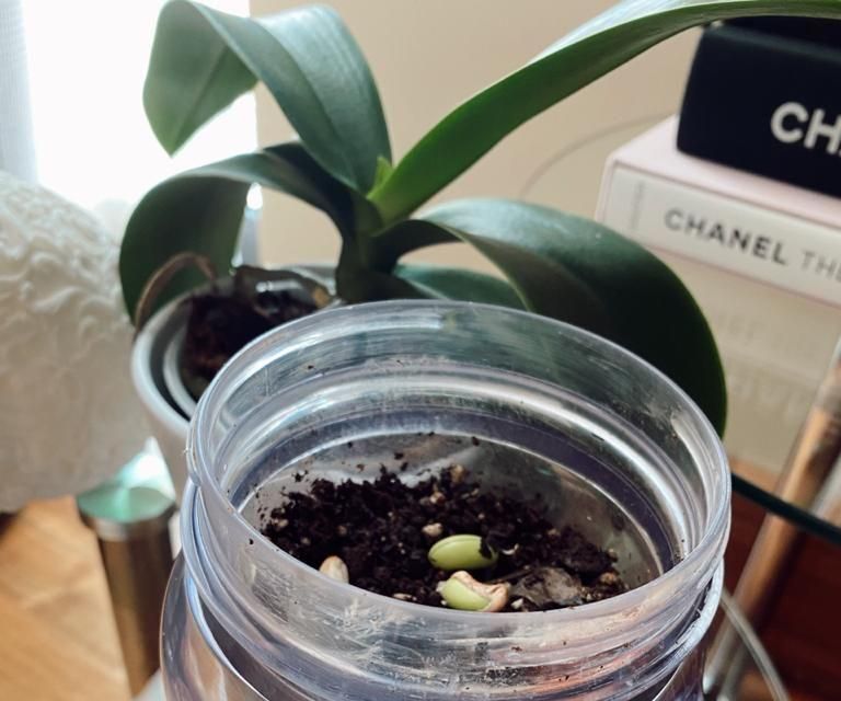 Radiating Positive Energy : 10 Steps - Instructables