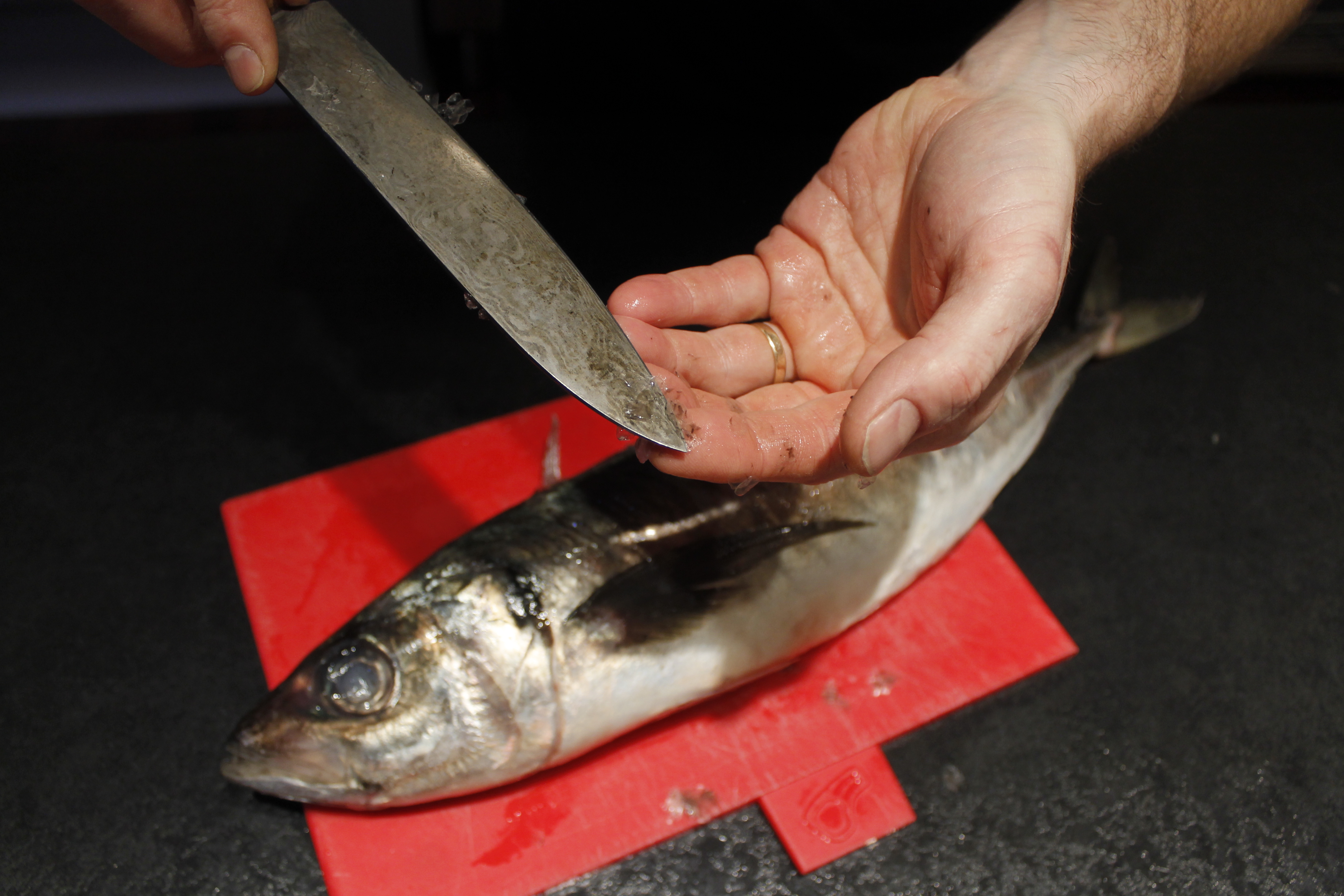 Preparing a Whole Fresh Fish : 7 Steps (with Pictures) - Instructables