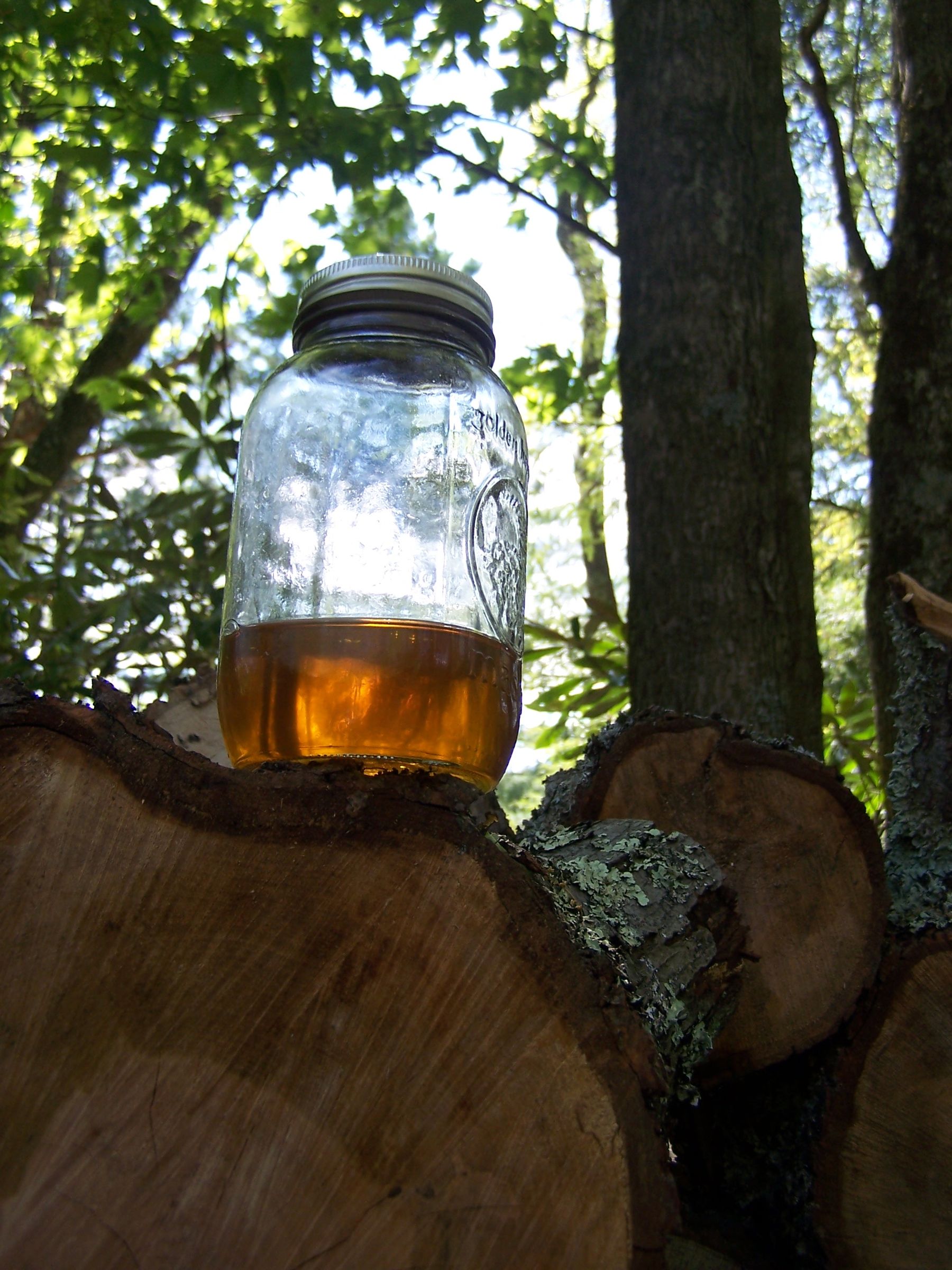 Make Biodiesel! : 8 Steps (with Pictures) - Instructables