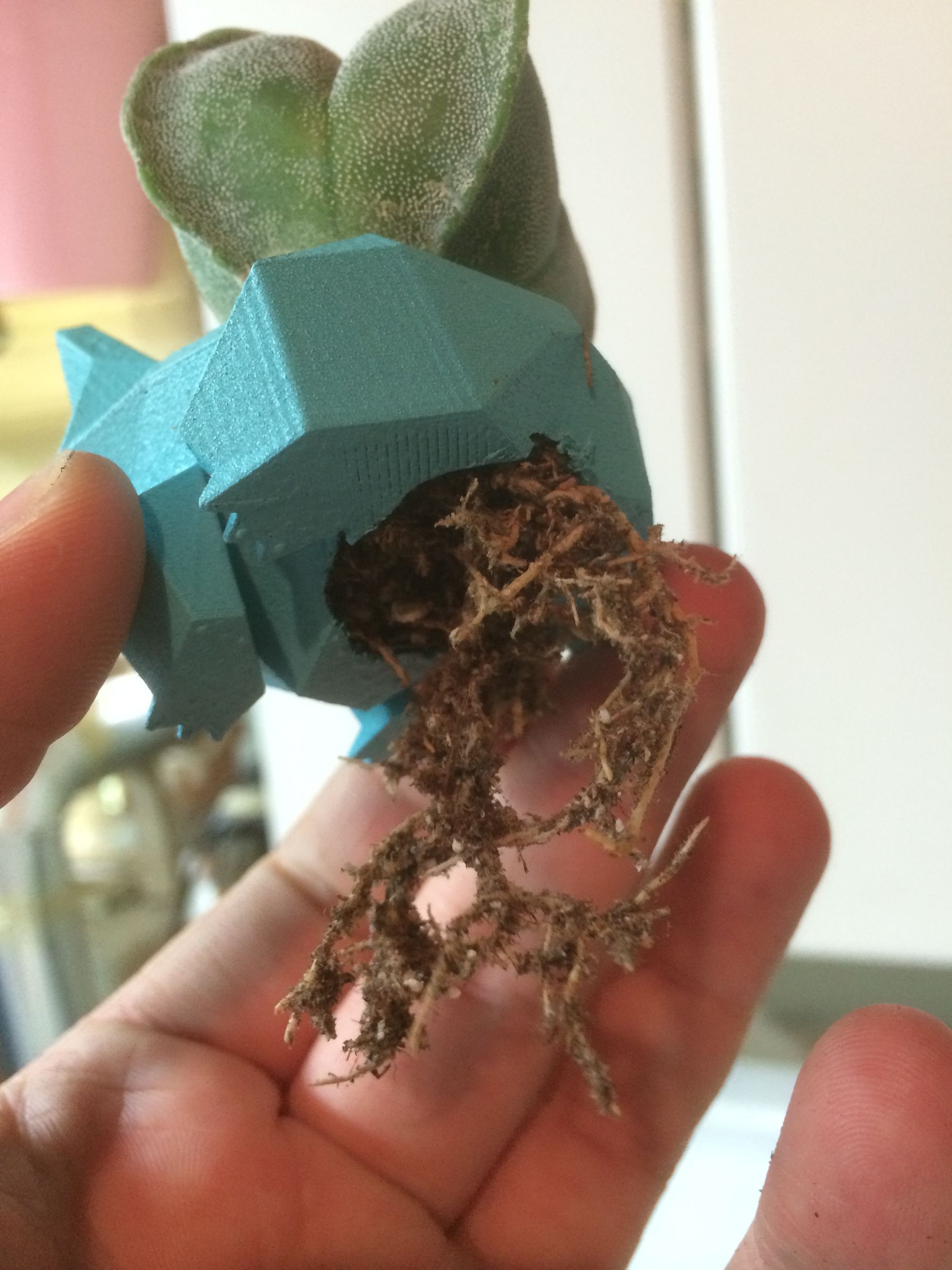 3D Printed Bulbasaur Planter : 4 Steps (with Pictures) - Instructables