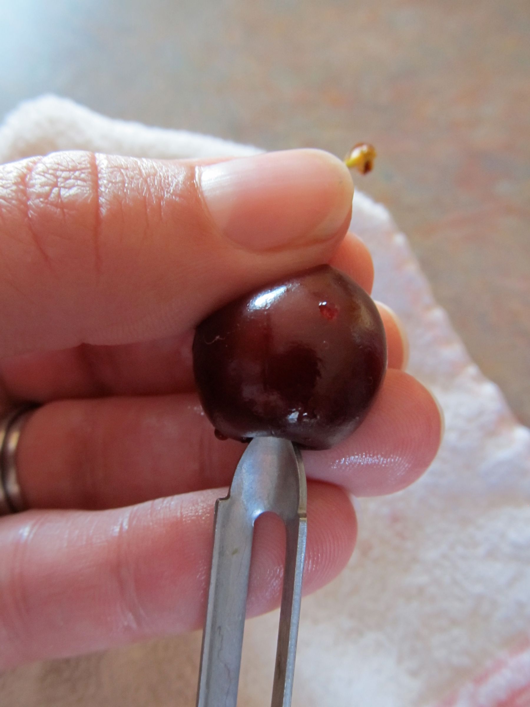 How to Pit a Cherry & Keep the Stem. : 3 Steps (with Pictures ...