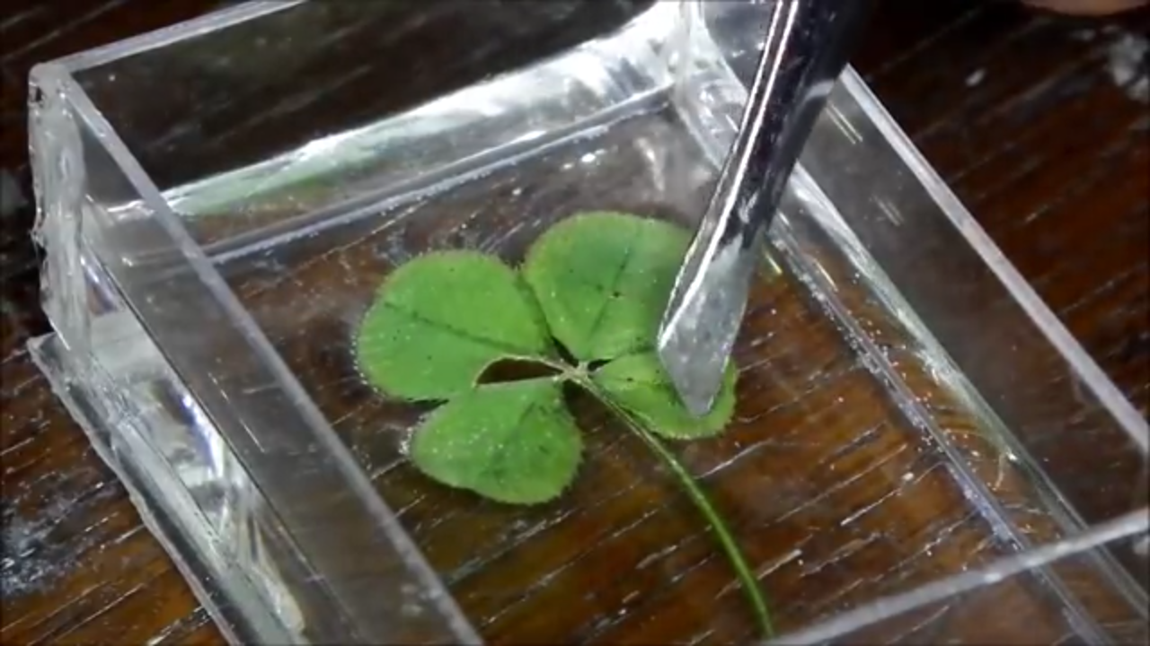 DIY Four-leaf Clover in Resin : 9 Steps (with Pictures) - Instructables
