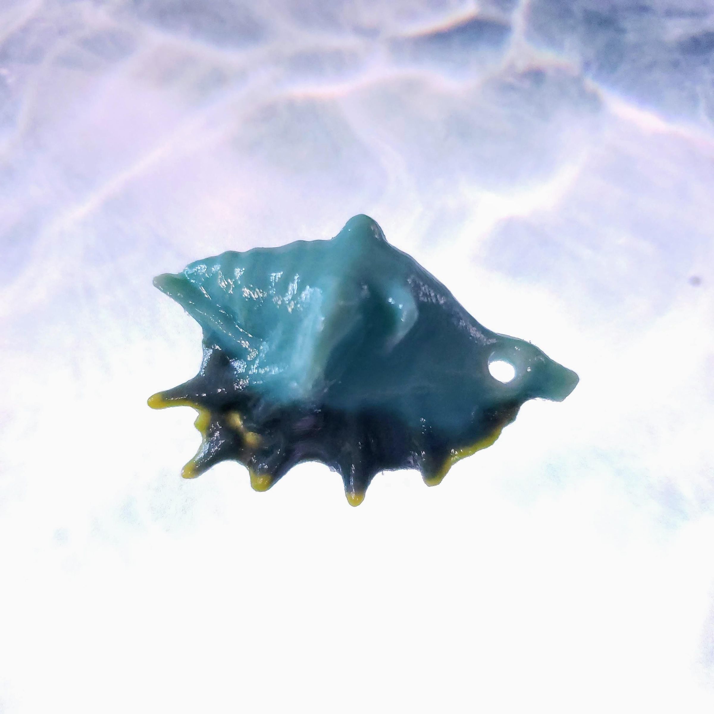 Pearl With Shell Pendant : 5 Steps (with Pictures) - Instructables