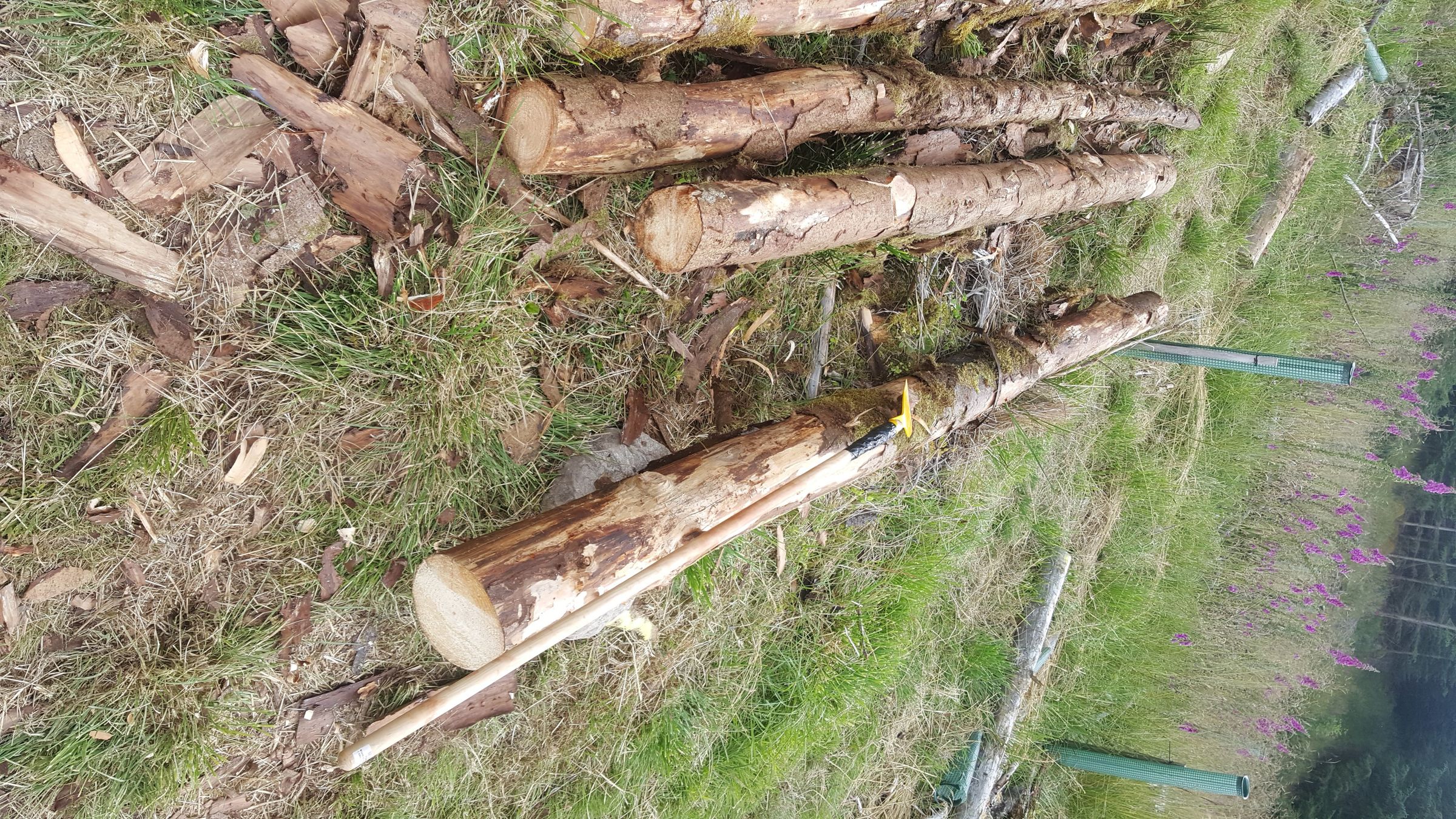 Log Pallet Bridge Introduction and Information : 13 Steps (with ...