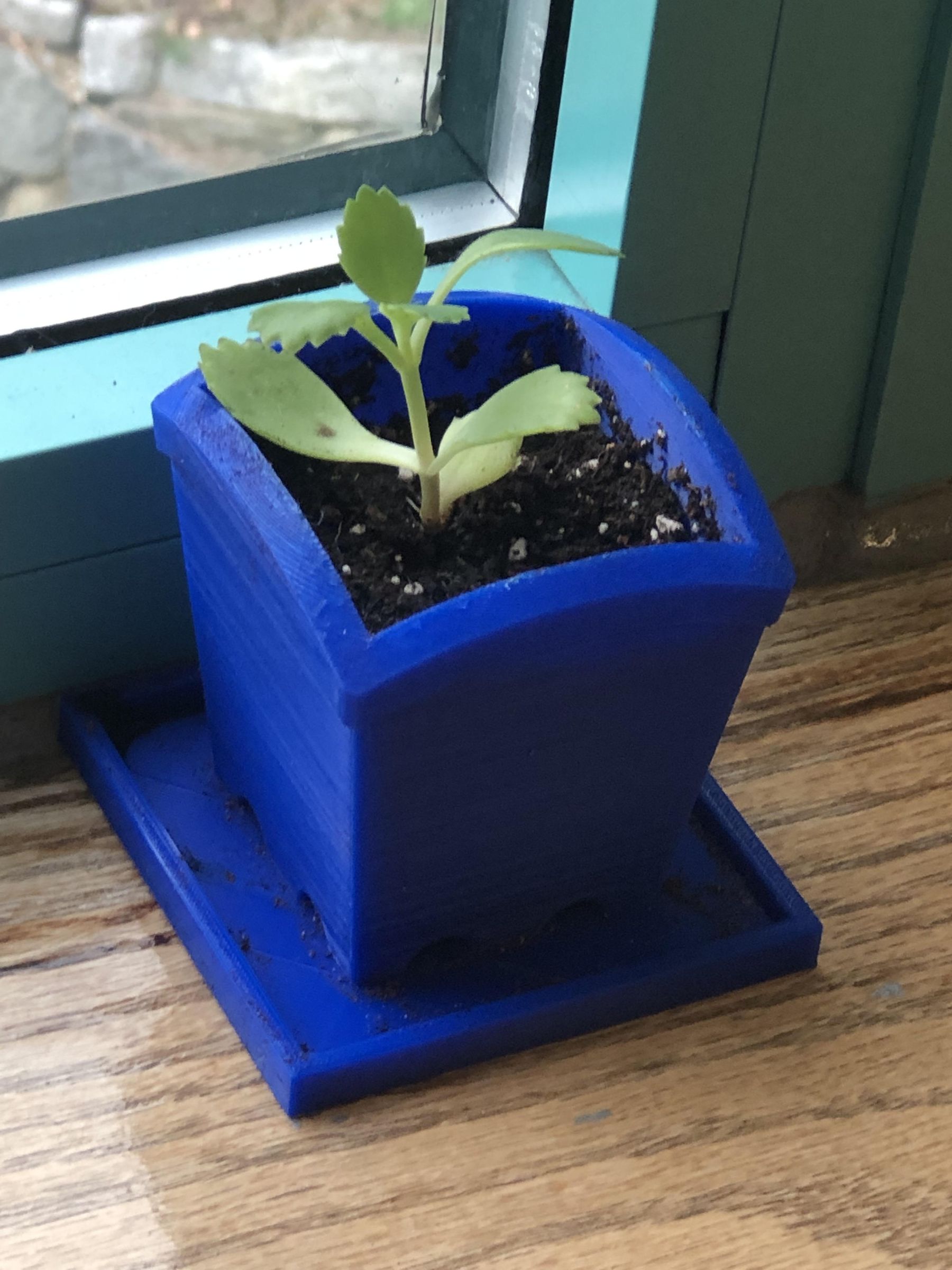3D Printed Planter : 13 Steps - Instructables
