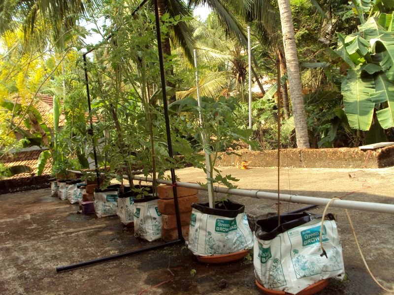 DIY Irrigation System for Plants - Instructables