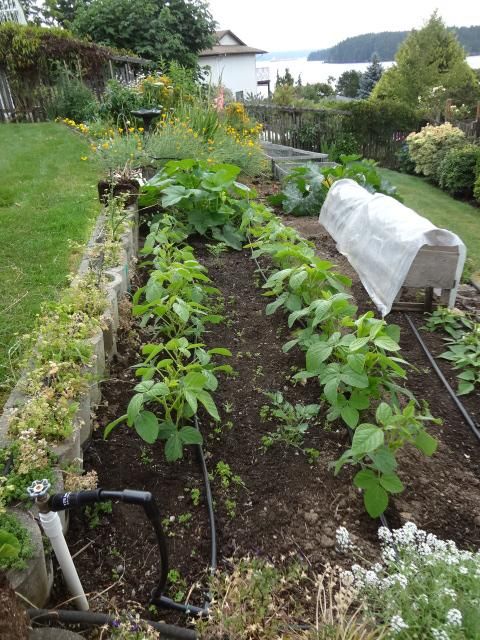 How to Create a Garden : 10 Steps (with Pictures) - Instructables