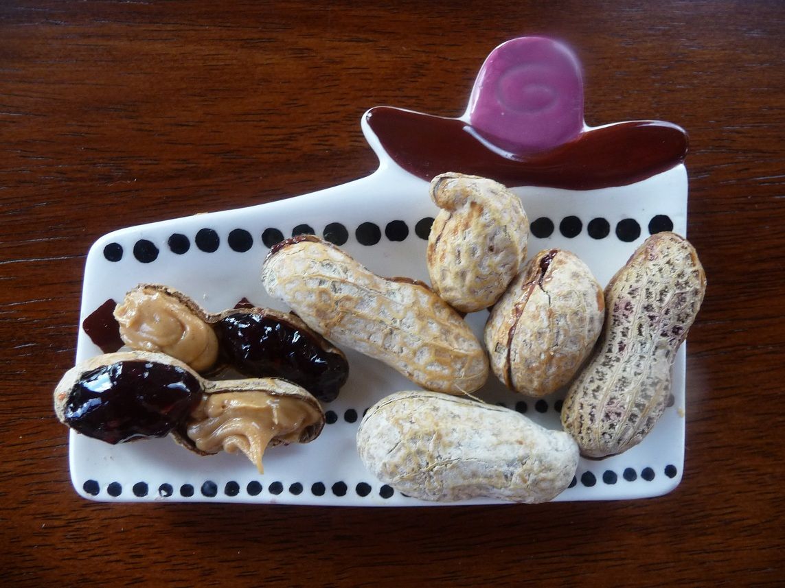 The Best Peanut Prank Ever! (with Pictures) - Instructables