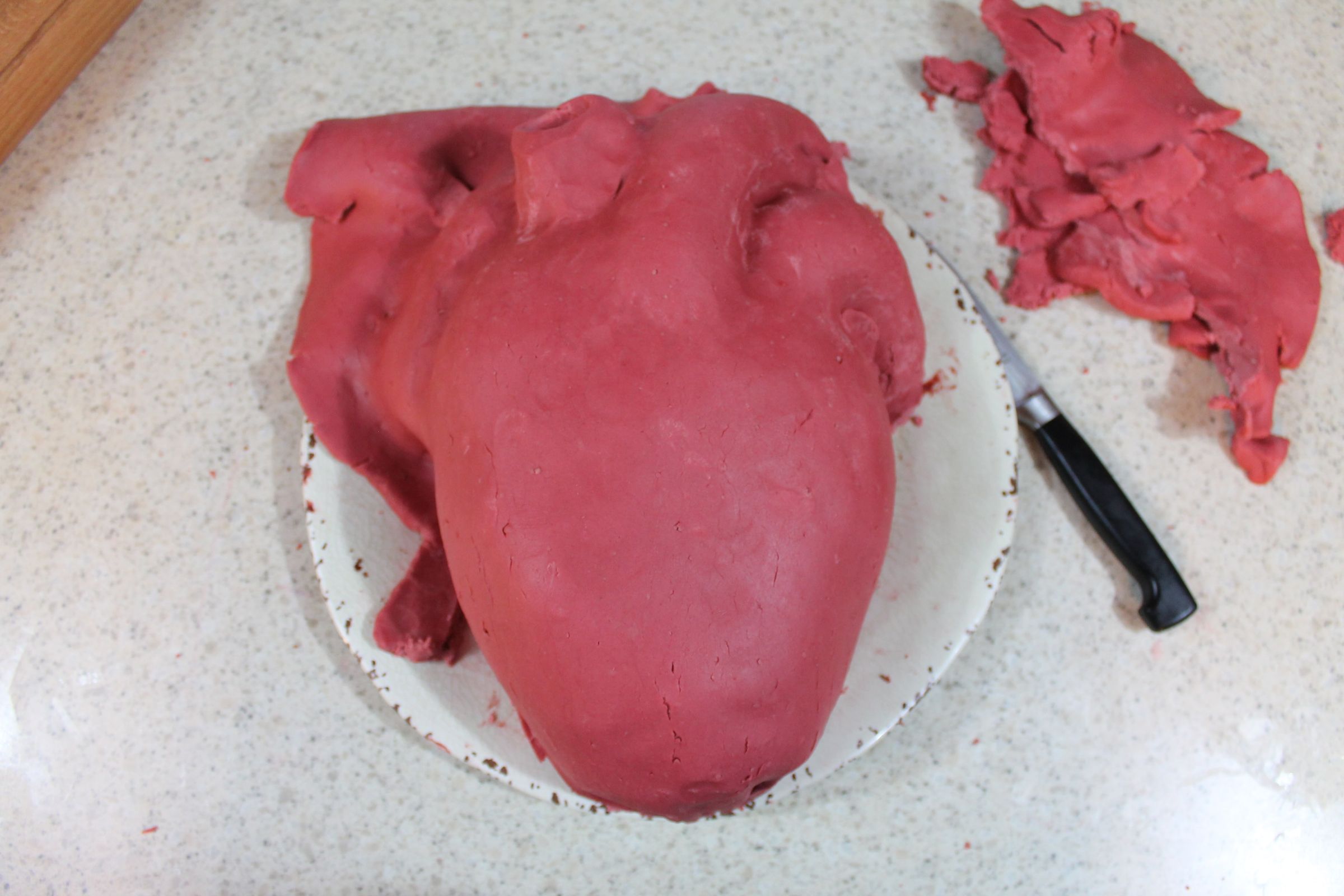 DIY Human Heart Cake : 7 Steps (with Pictures) - Instructables