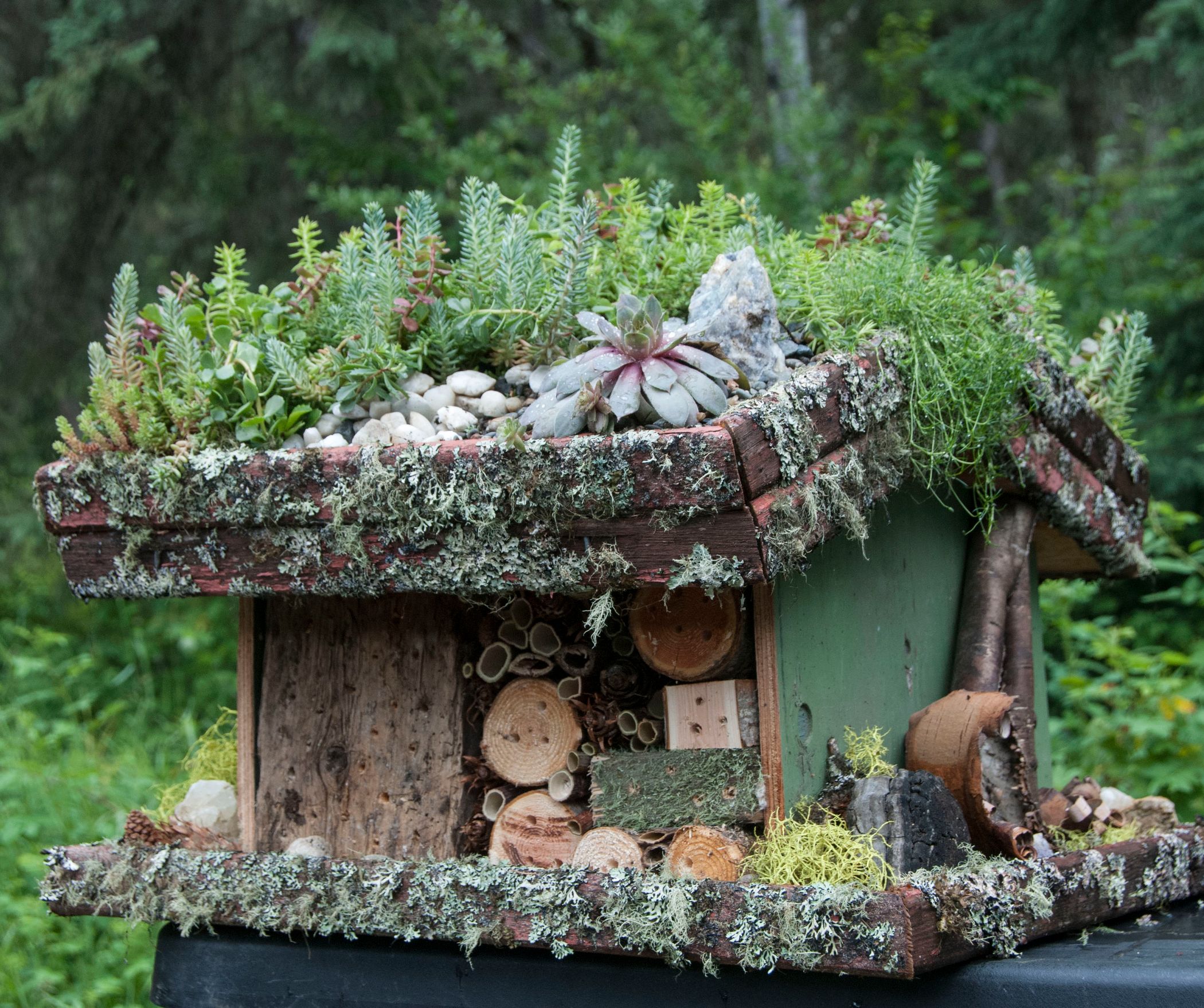 Bee Resort With Growing Rooftop : 4 Steps (with Pictures) - Instructables