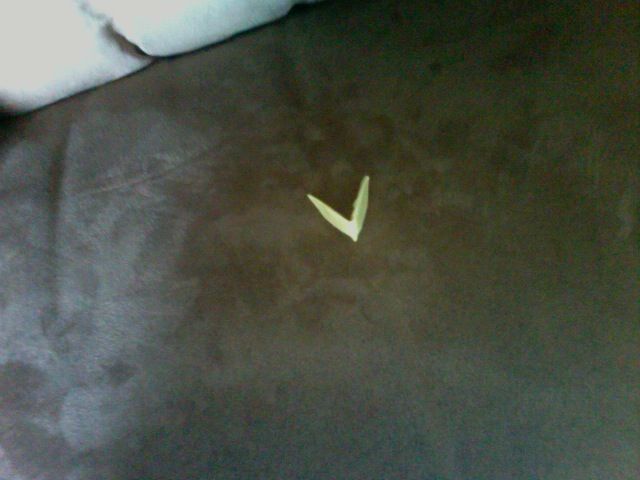 Paper Wars: the Viper - Instructables