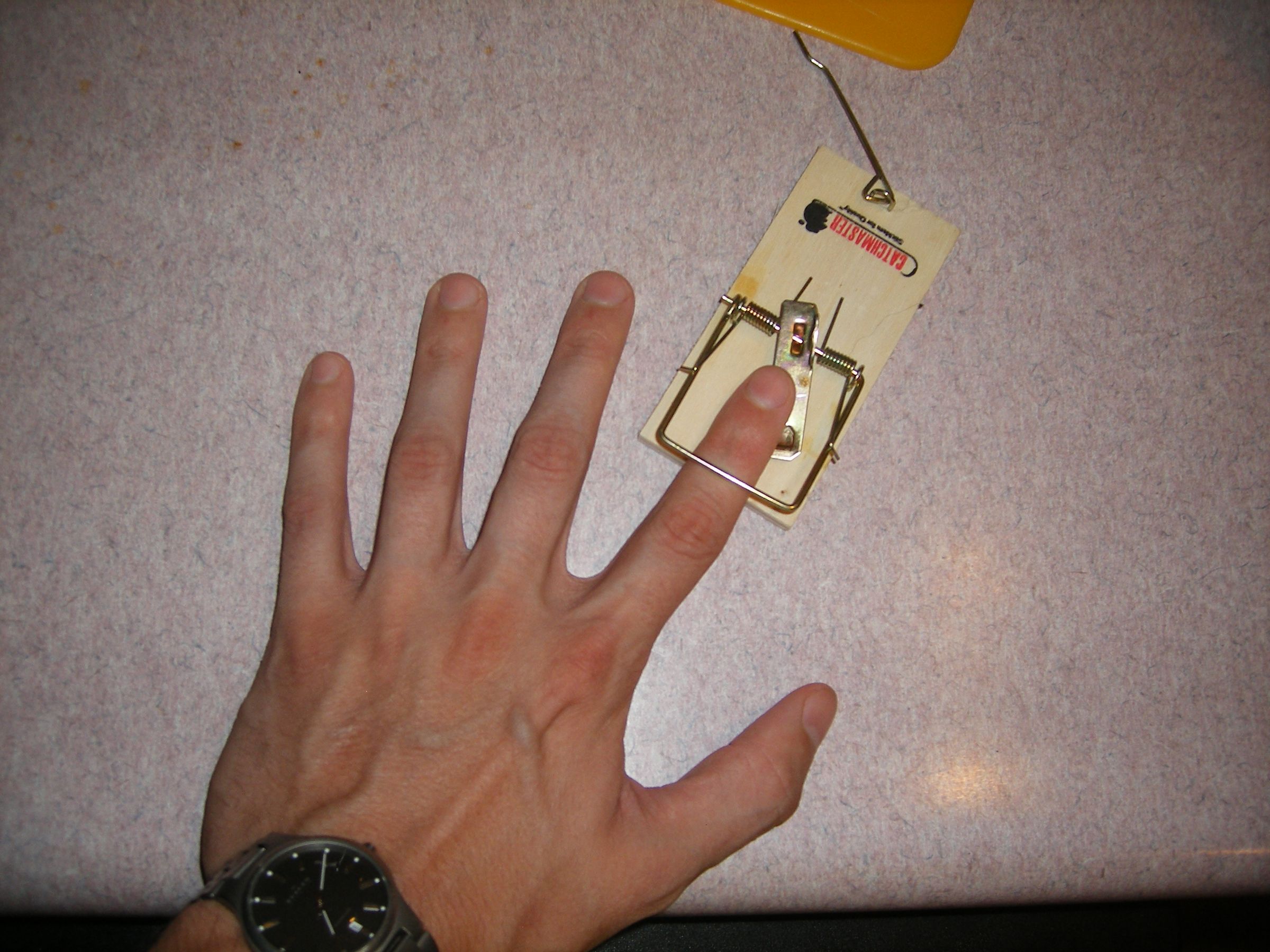 Improvised Mouse Trap (No Kill) : 6 Steps - Instructables