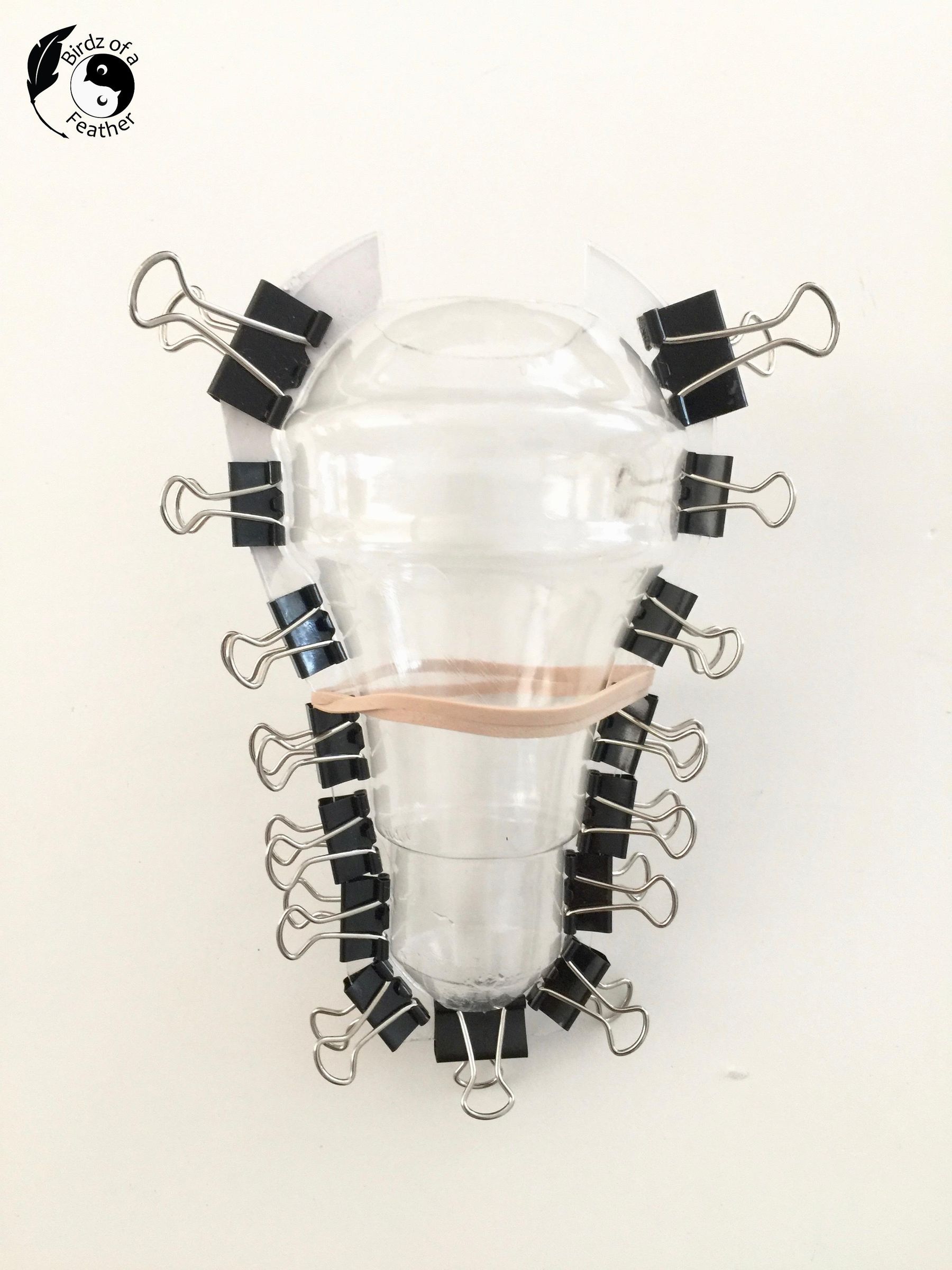 How to Make a Lightbulb Planter From Plastic Packaging! : 9 Steps (with ...