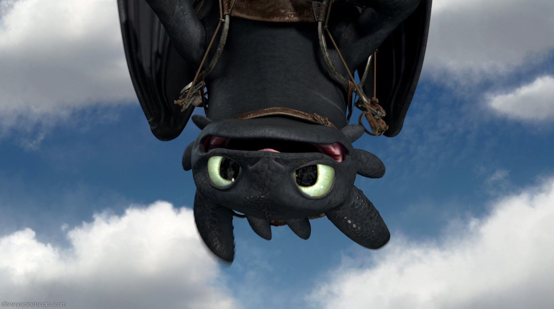Metal Wire Toothless : 8 Steps (with Pictures) - Instructables