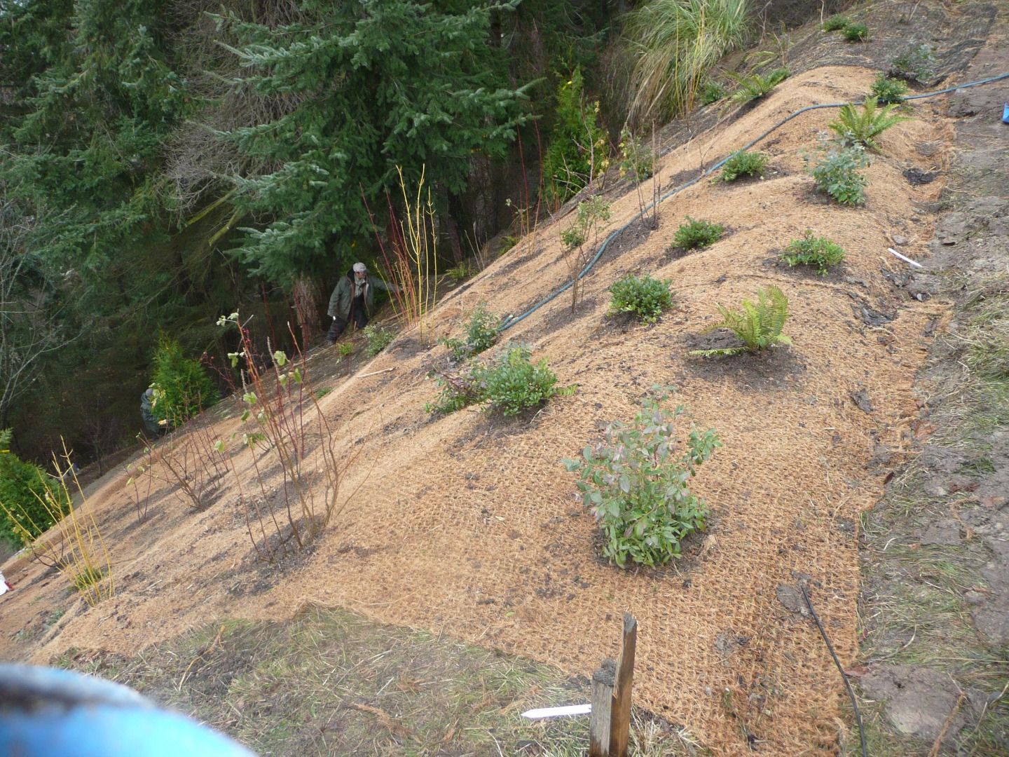 31 Unusual Uses for Coconuts : 31 Steps (with Pictures) - Instructables