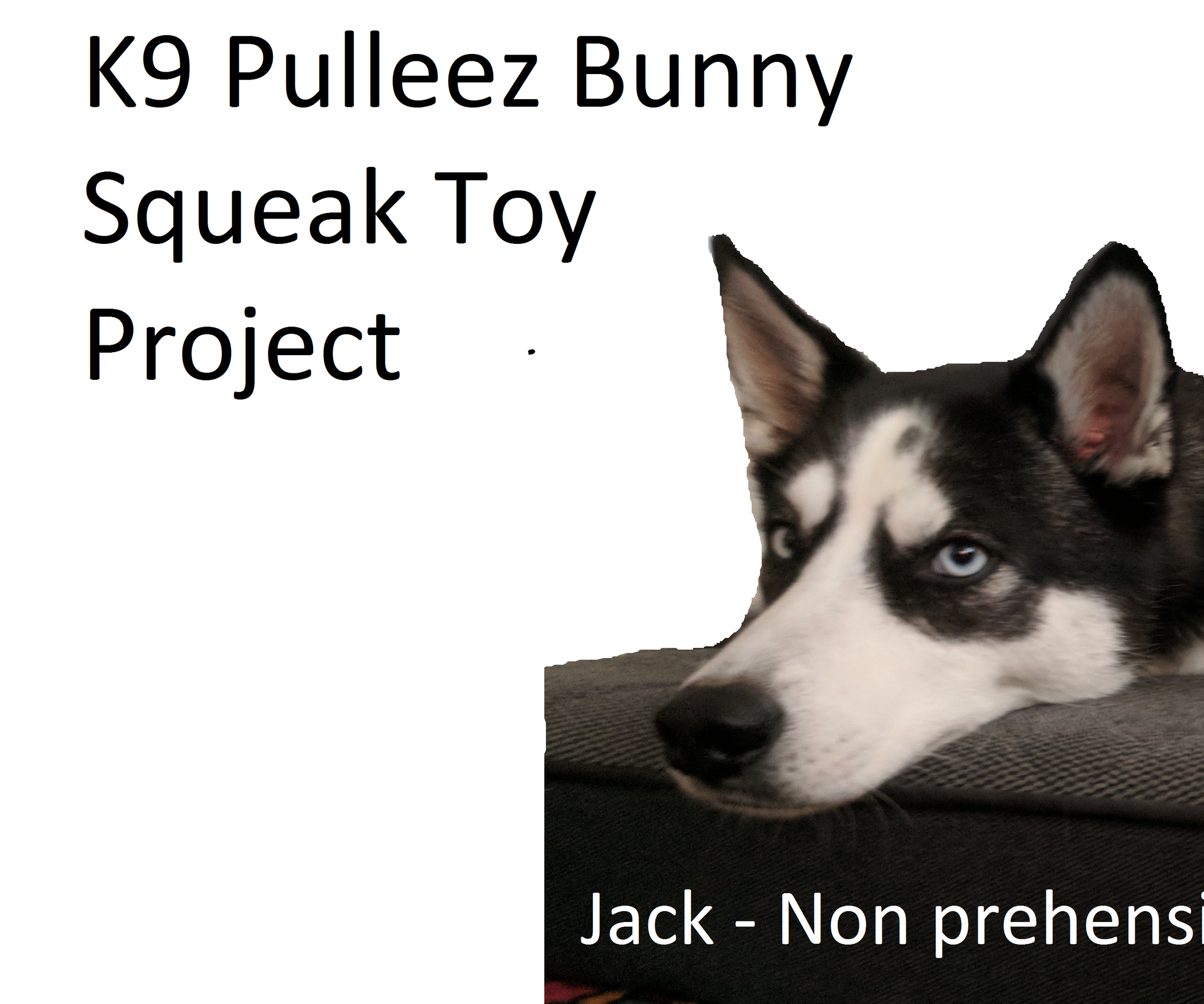 K9 Pulleez Bunny Squeak Toy : 9 Steps - Instructables