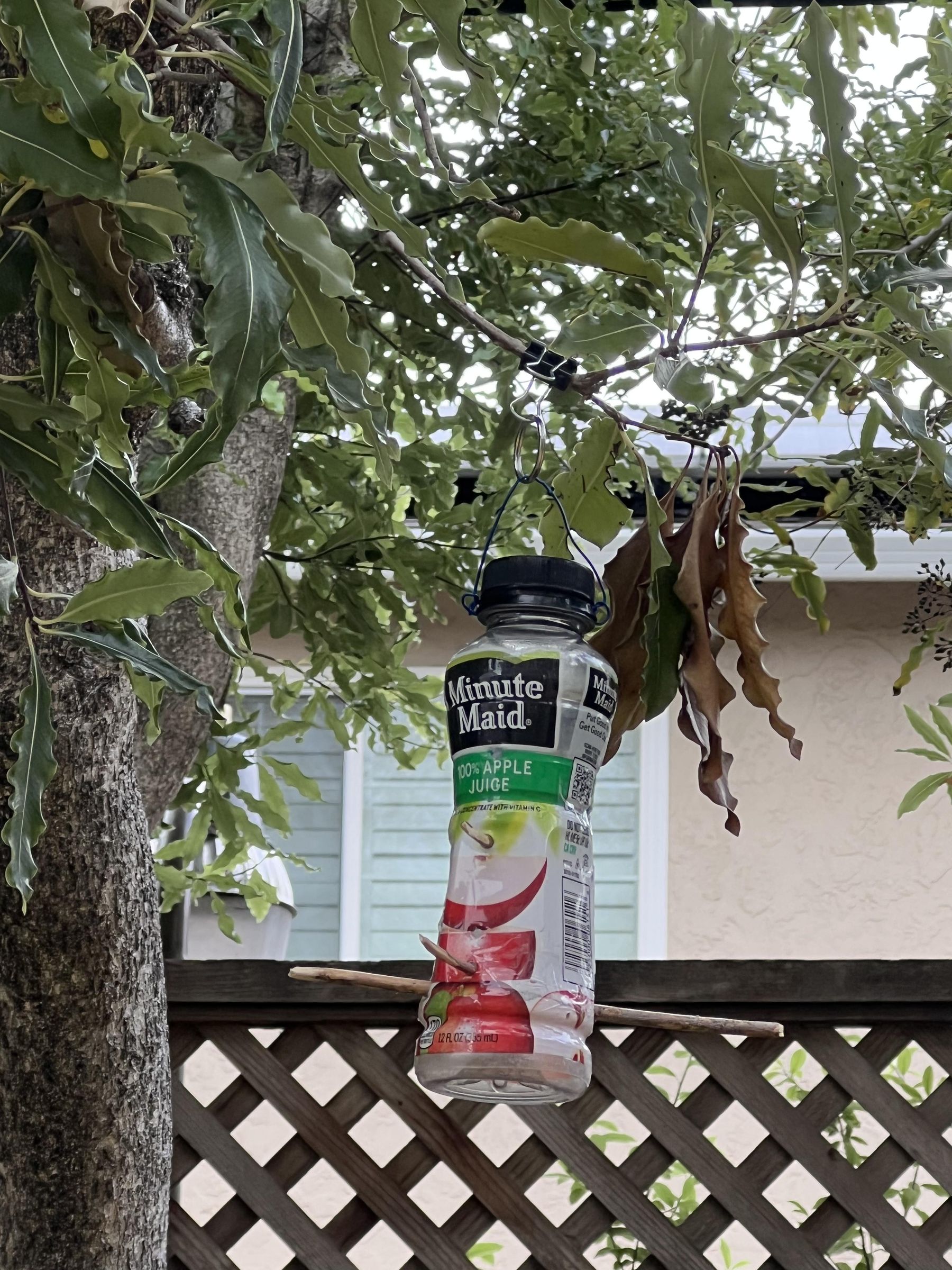 Plastic Bottle Finch Feeder : 11 Steps - Instructables
