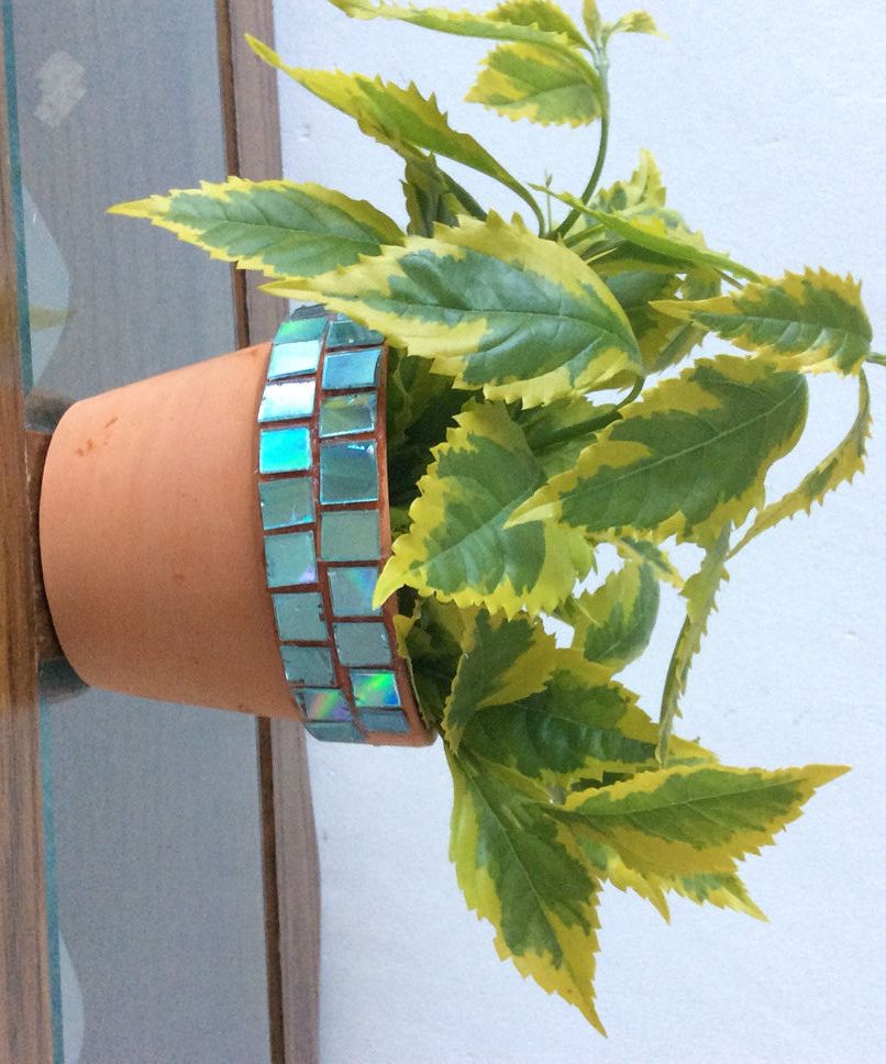 Shiny Planter : 4 Steps (with Pictures) - Instructables