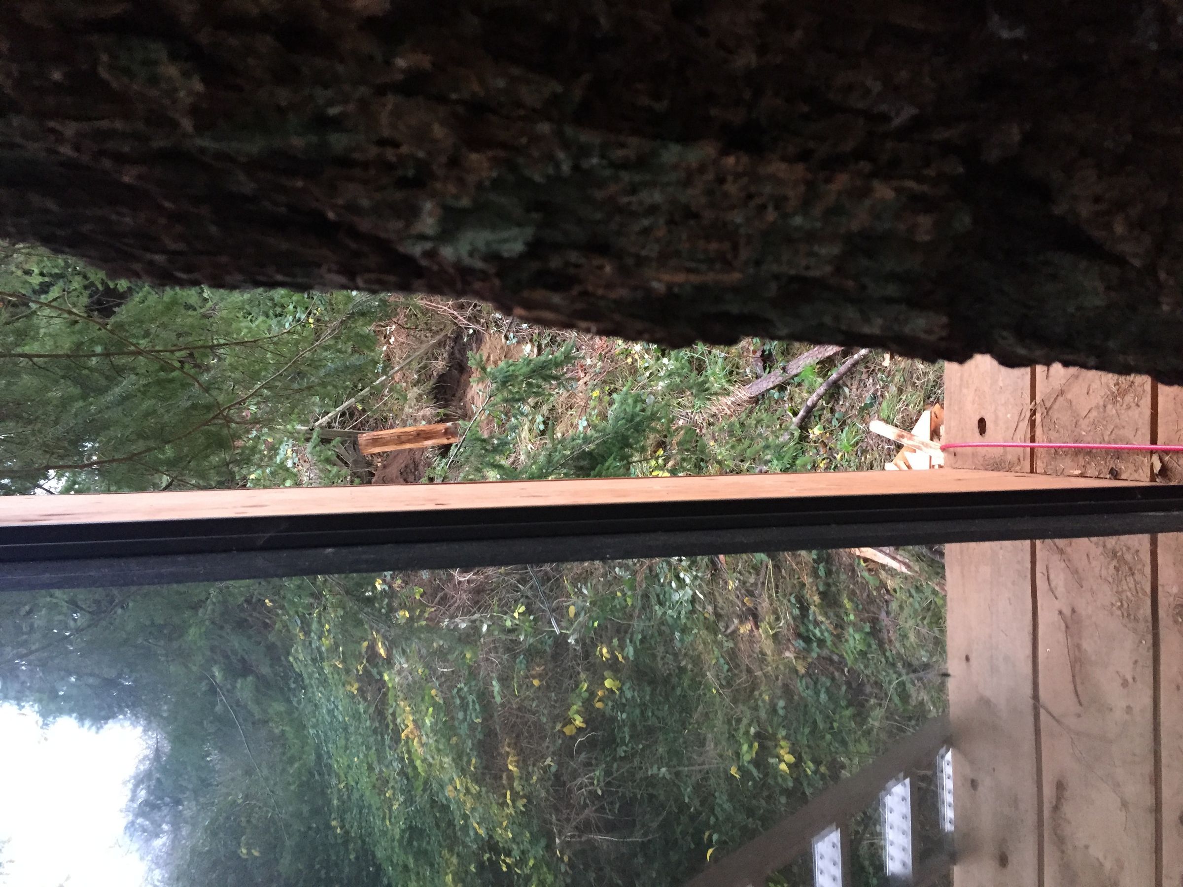 Treehouse Build : 10 Steps (with Pictures) - Instructables