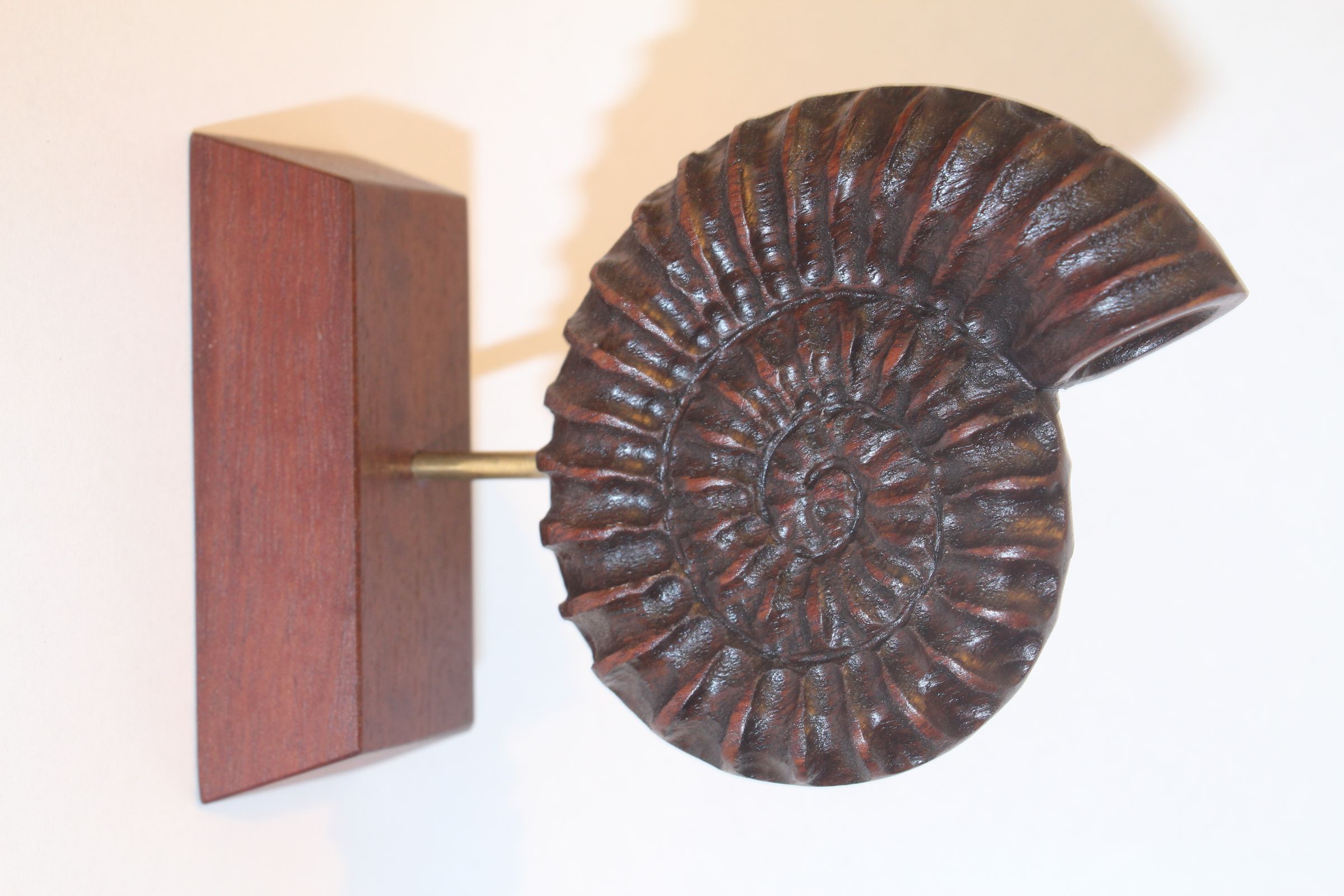 Ammonite Embroidery Machine Designs