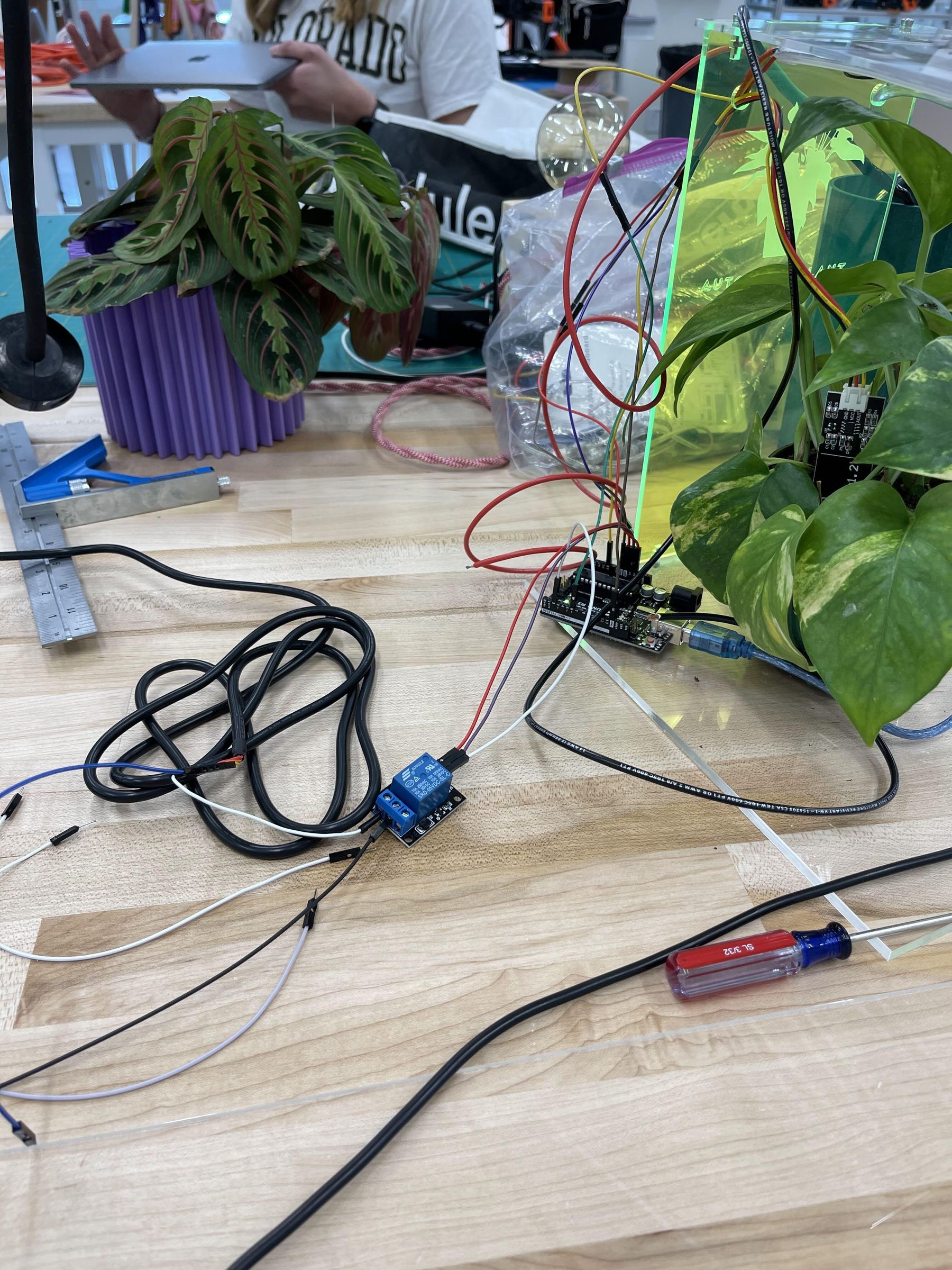Automatic Plant Grower : 5 Steps - Instructables