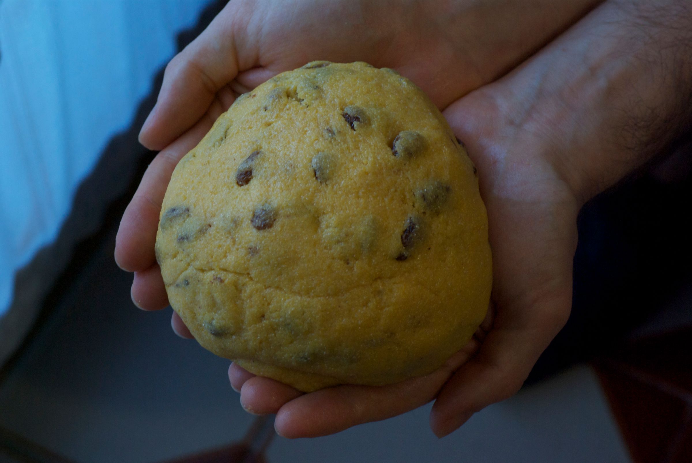 Traditional Italian Biscuits: Zaeti - Biscotti Tradizionali Veneti ...