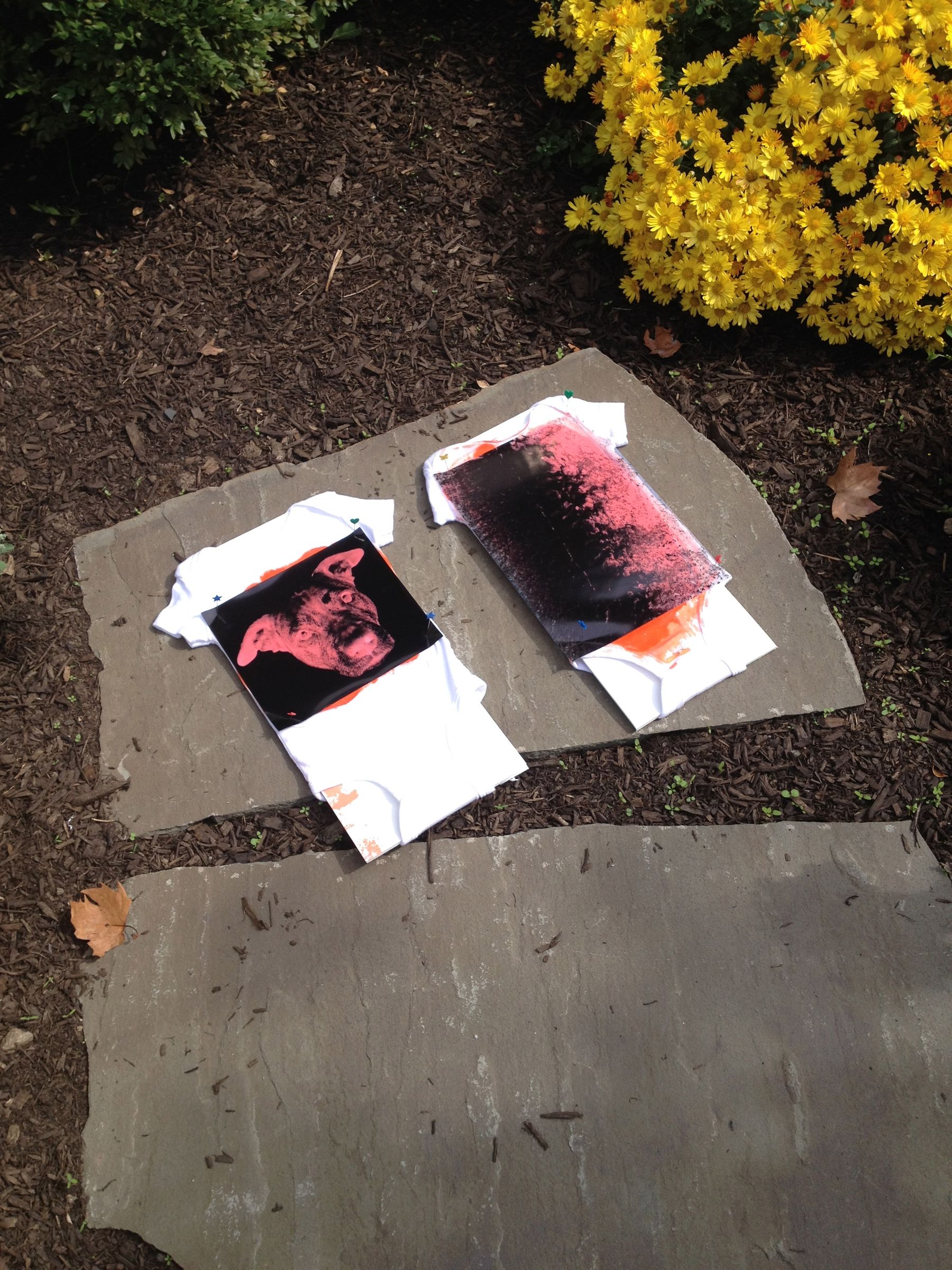 Lumi Inkodye Printing : 11 Steps (with Pictures) - Instructables