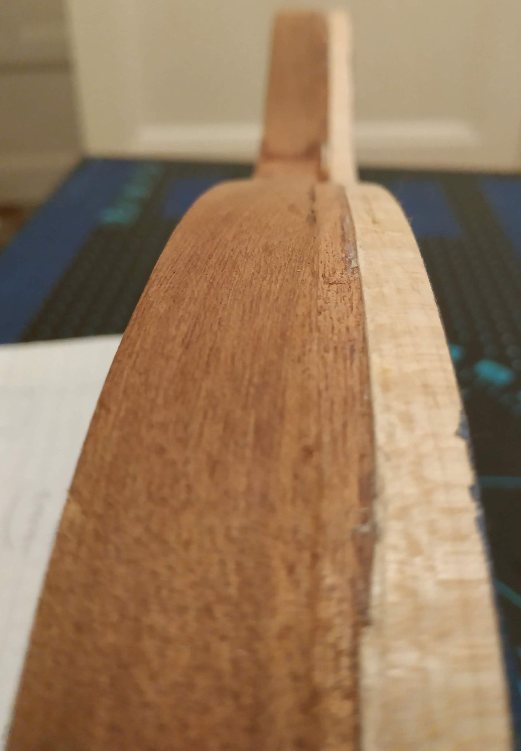Building a Guitar: Telecaster Thinline : 12 Steps (with Pictures ...