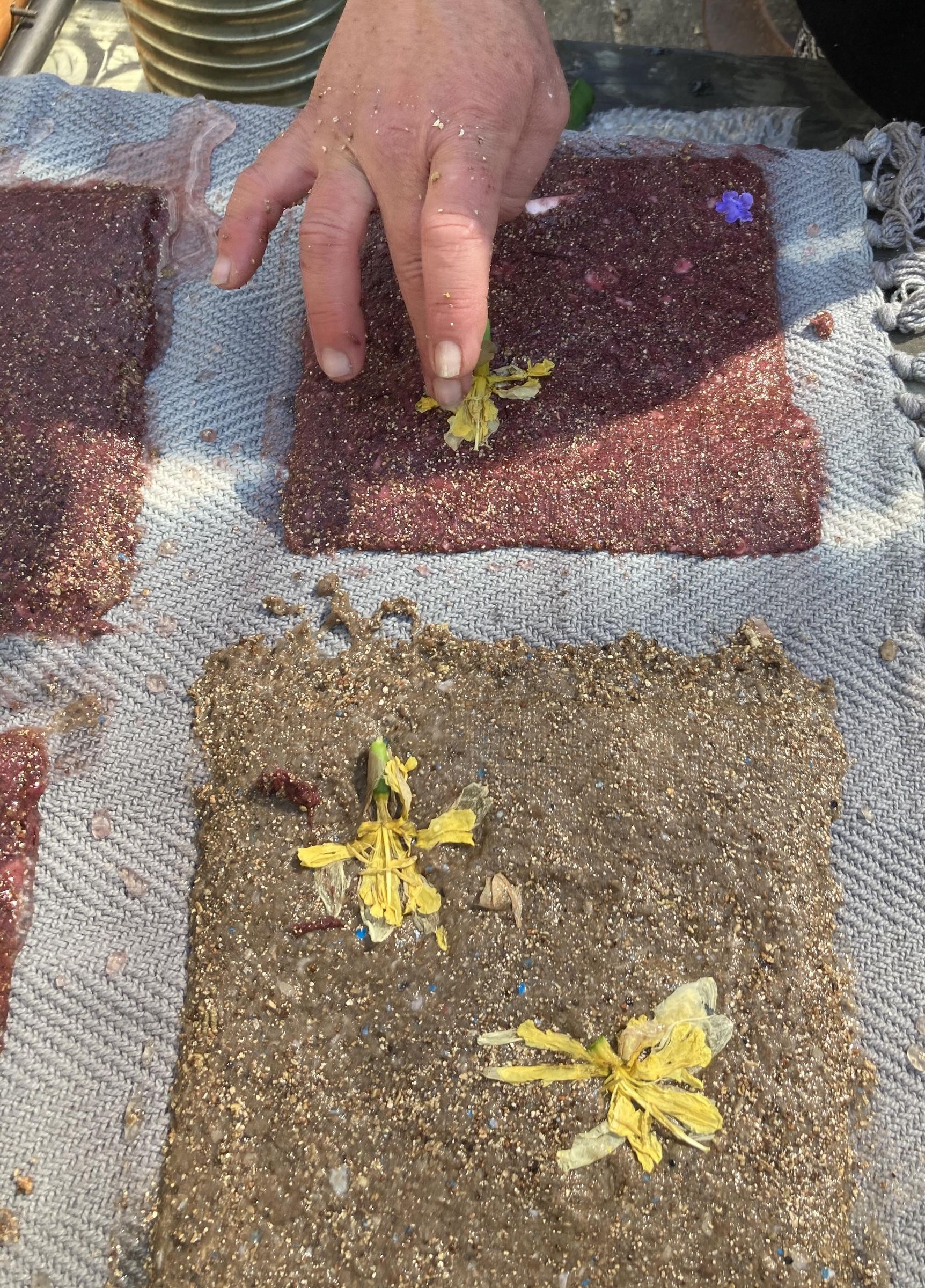 Seed Paper From Used Cardboard Boxes : 8 Steps (with Pictures ...