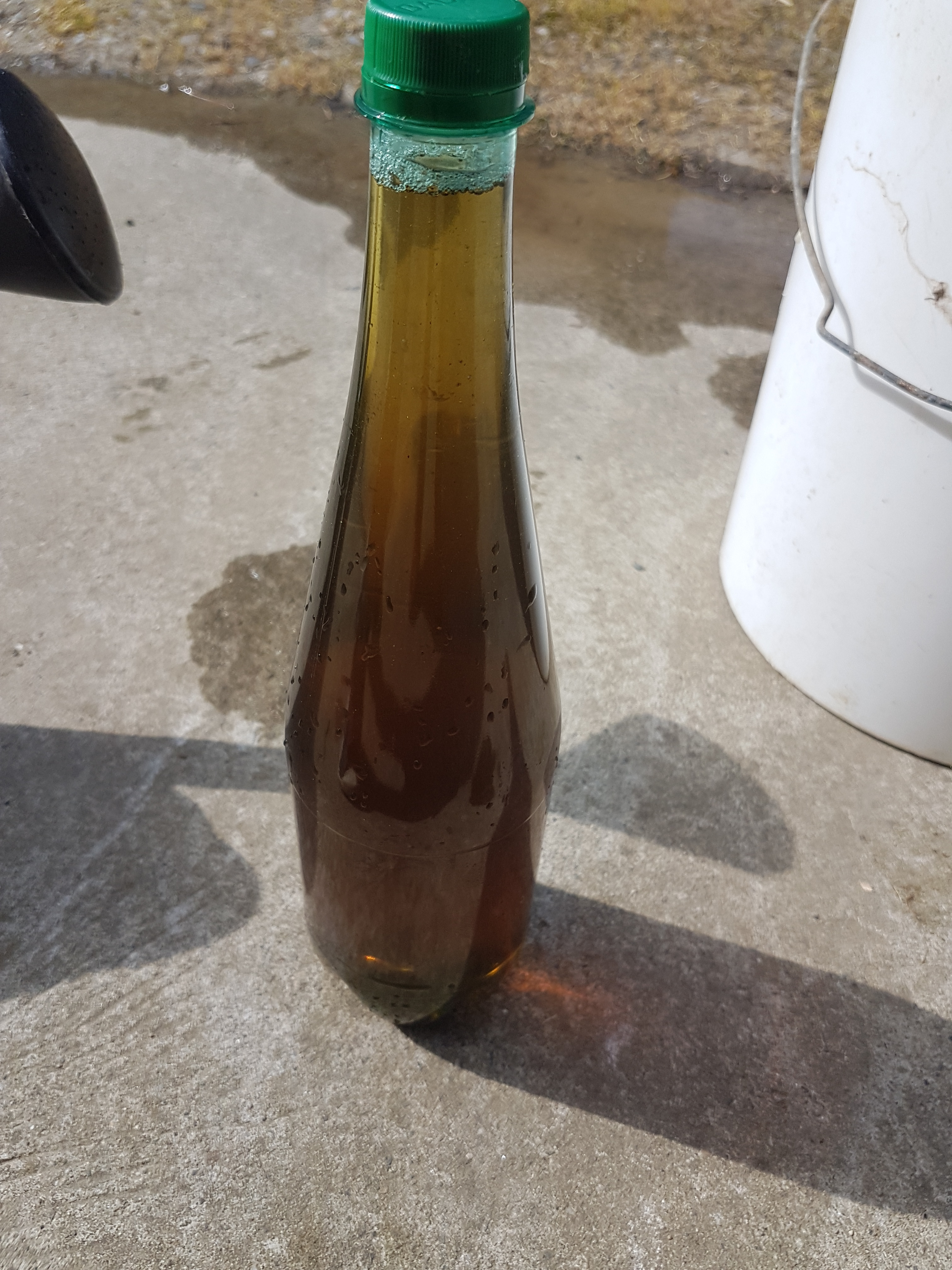 Homemade Natural Insecticide/repellent (with Pictures) - Instructables