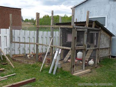 Aviary - How to Build Chicken Run and Aviary - Instructables