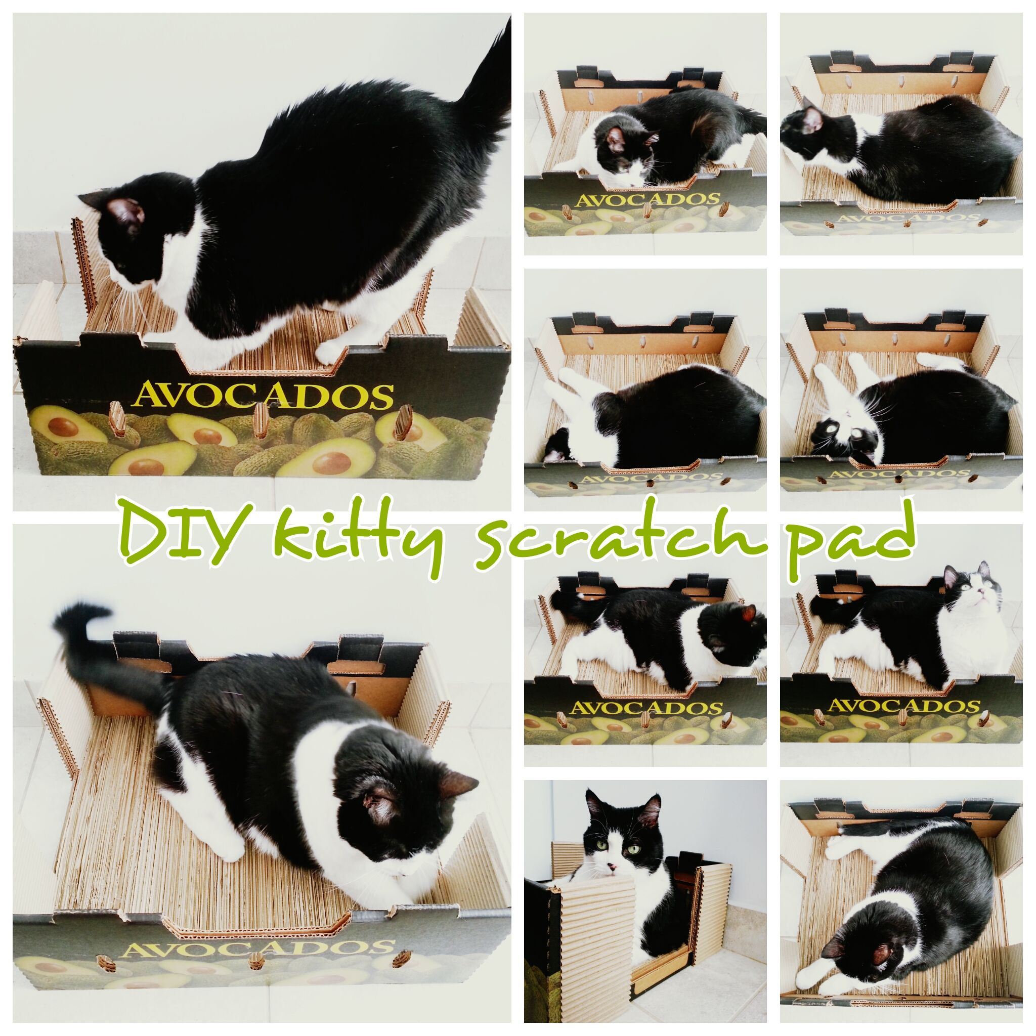 DIY Cardboard Cat Scratch Pad Upcycled Produce Box : 10 Steps (with ...