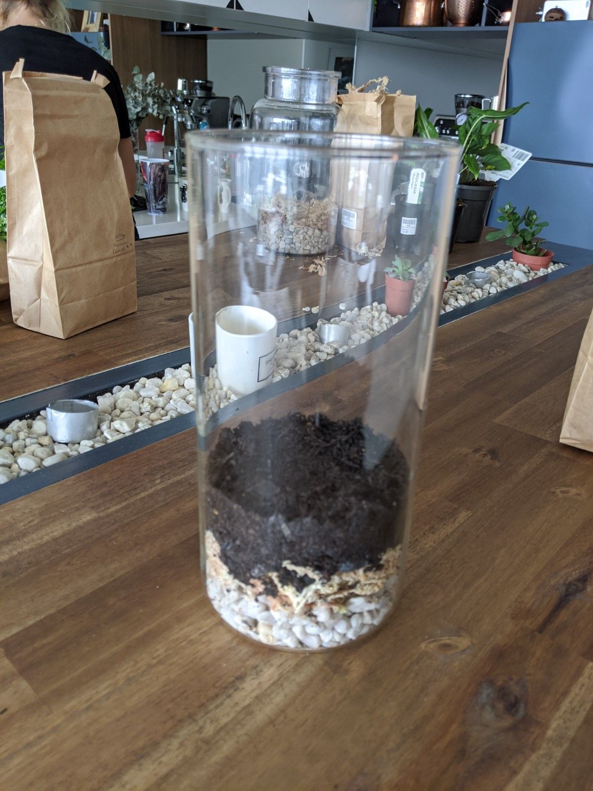 IoT-Terrarium : 6 Steps (with Pictures) - Instructables