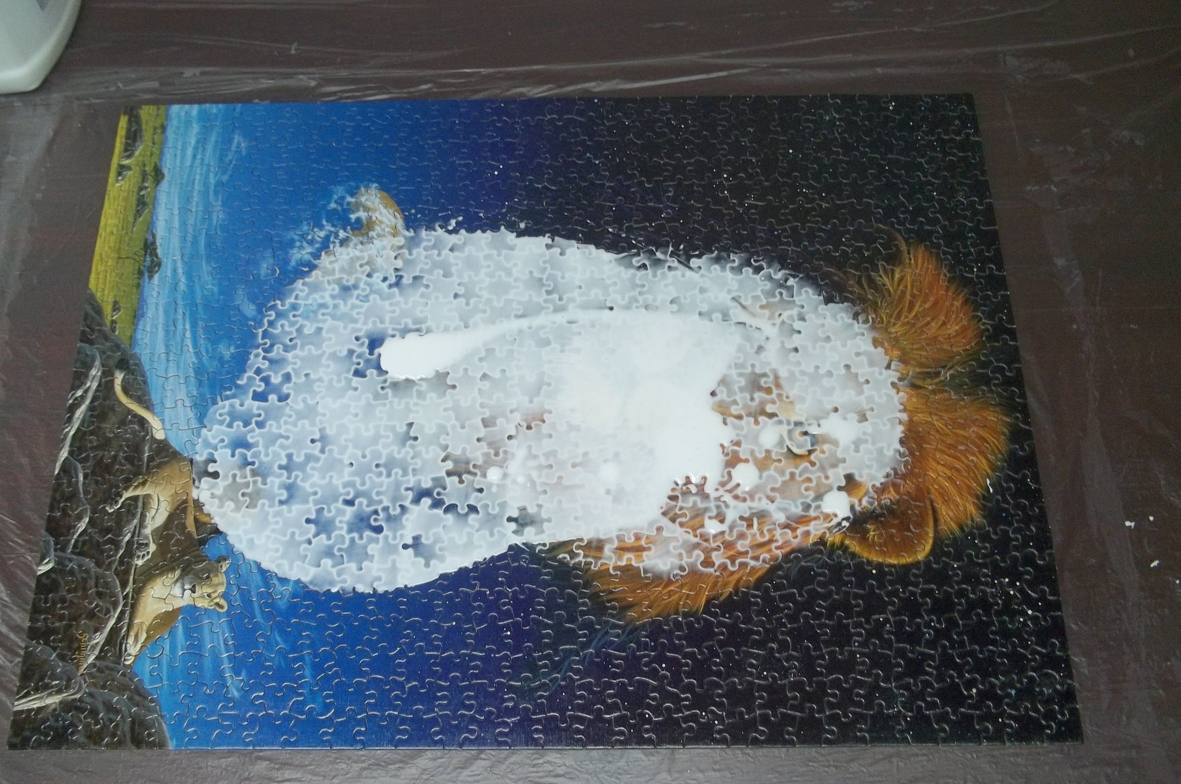 Cheap Way to Save a Puzzle : 4 Steps - Instructables