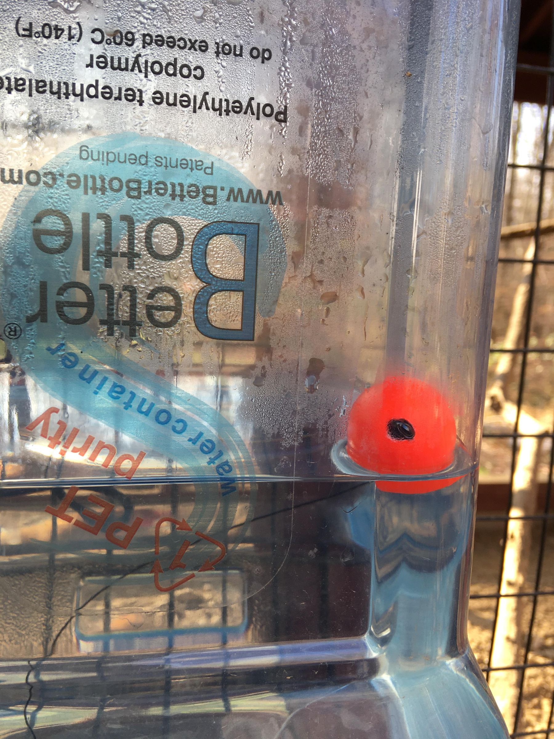 PVC Chicken Waterer : 8 Steps (with Pictures) - Instructables