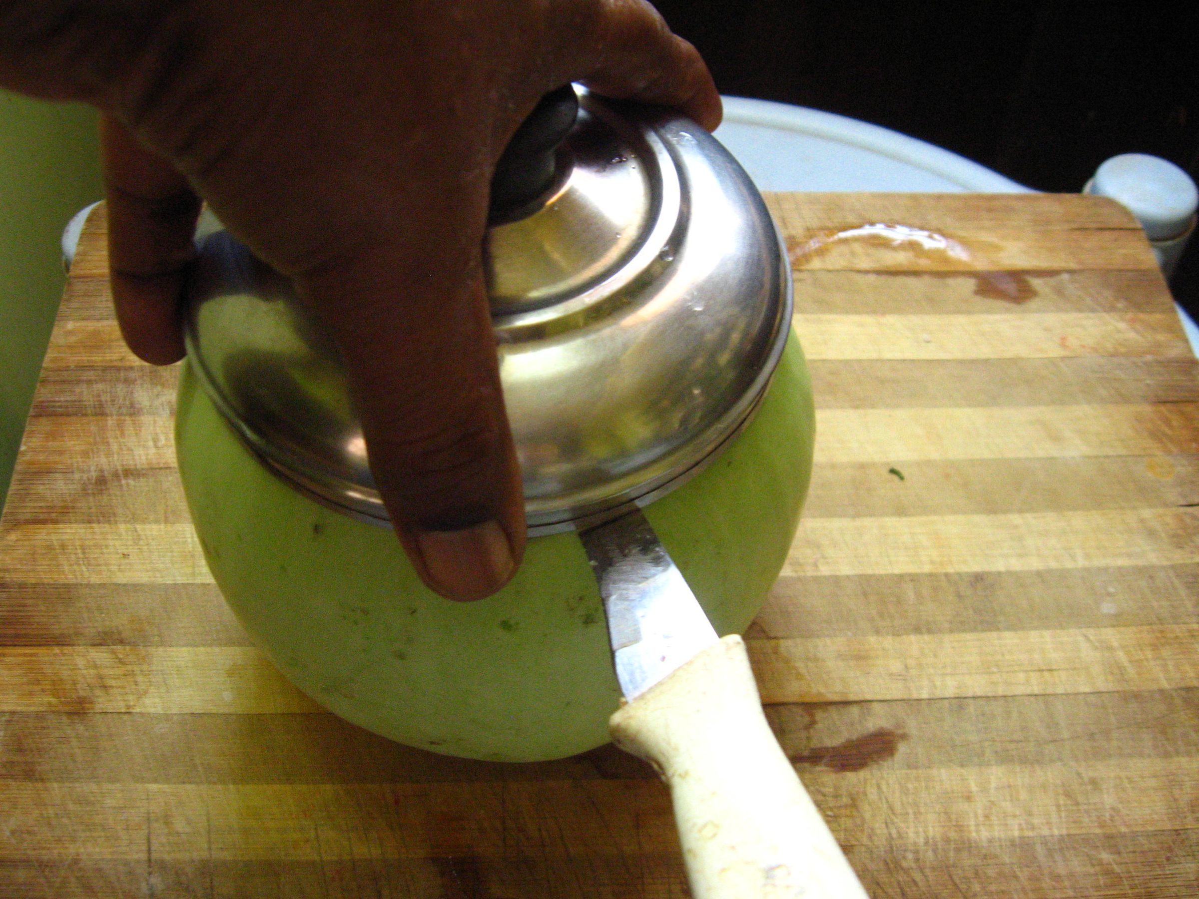 Seed Germination With Bottle Gourd Shell As Planter : 6 Steps (with ...
