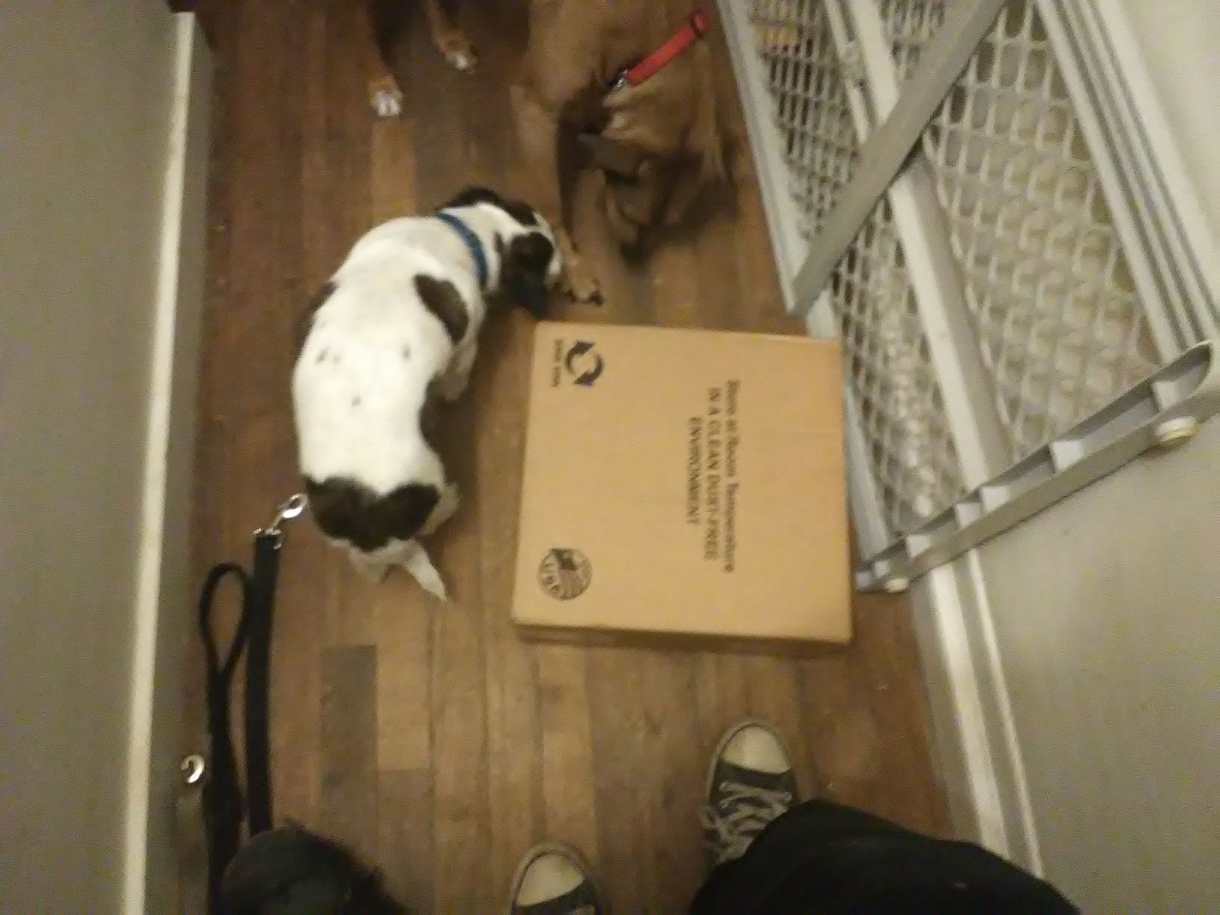 Synesthesia Player Piano : 4 Steps - Instructables