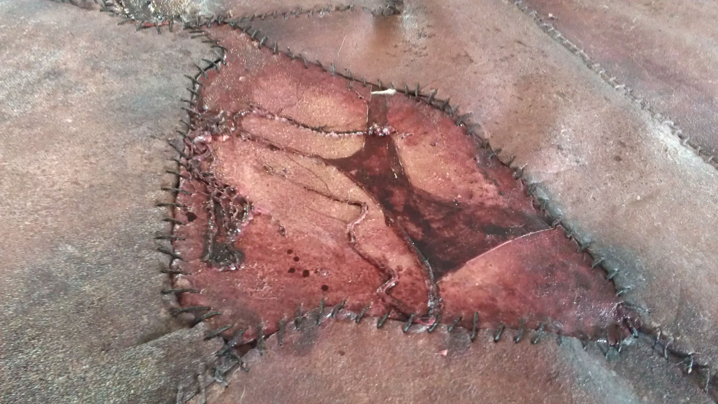 Flayed Human Flesh Table Cloth (or How to Ensure Your Mother-In-Law ...